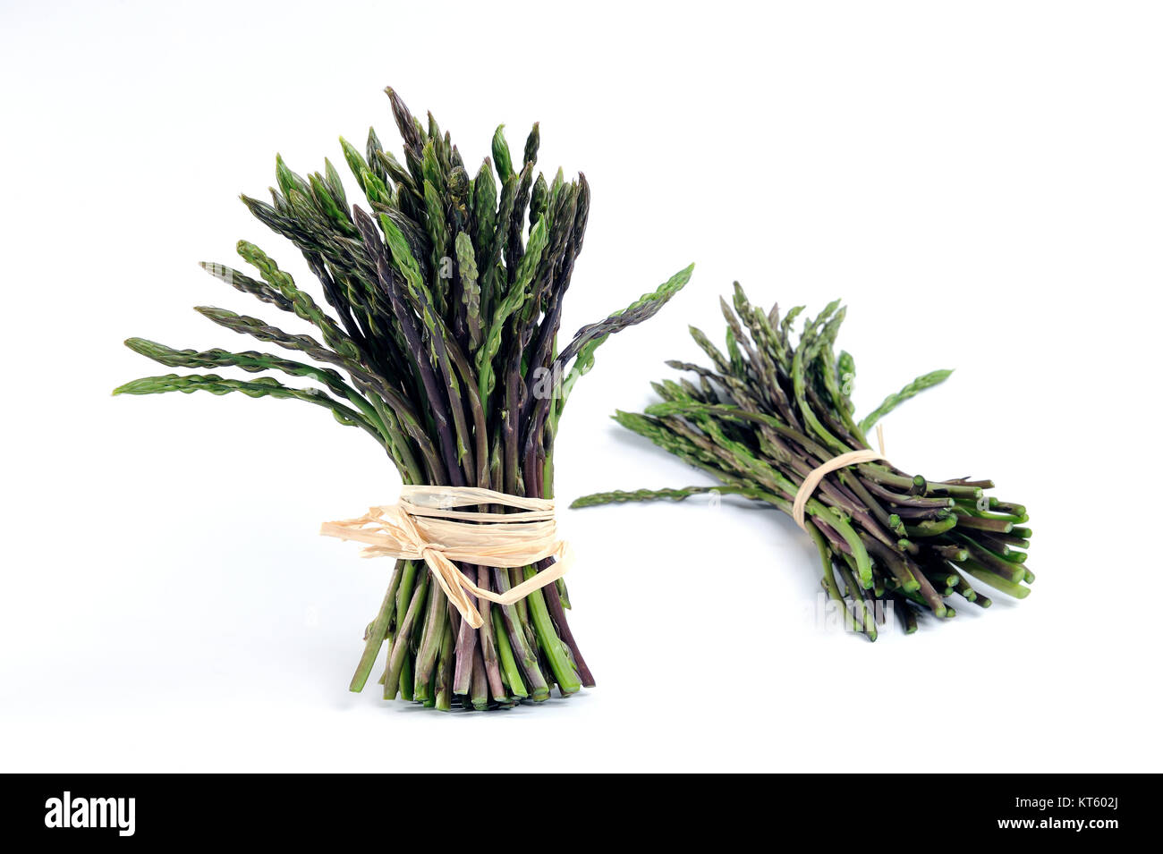 Fresh asparagus natural harvests in the countryside, isolated on white ...