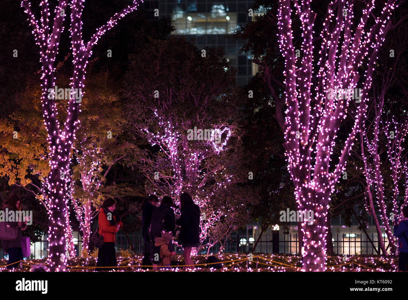 Illumination, Shinjuku Southern Terrace, Shinjuku, Tokyo, Japan Stock ...