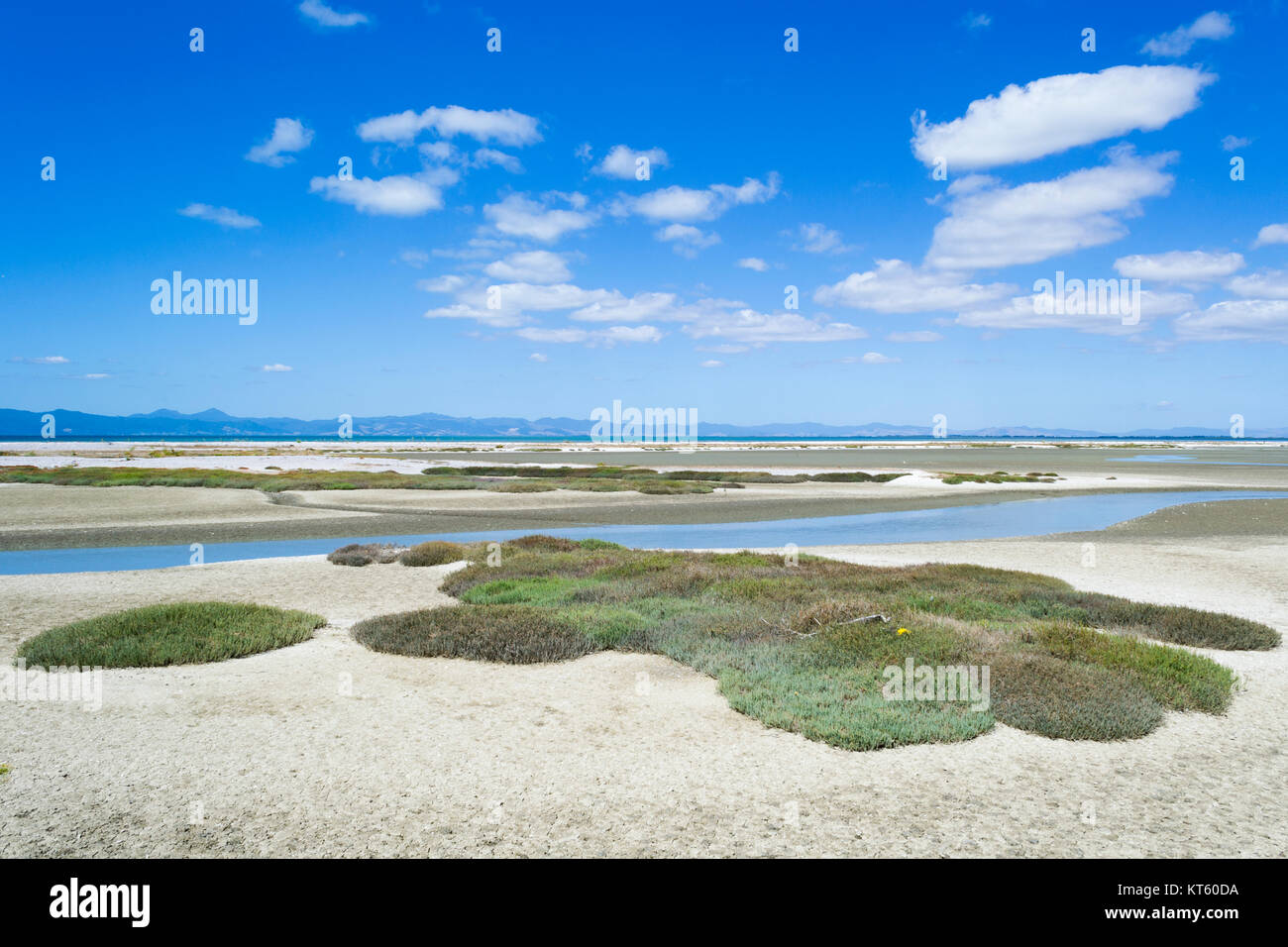 Firth of thames hi-res stock photography and images - Alamy