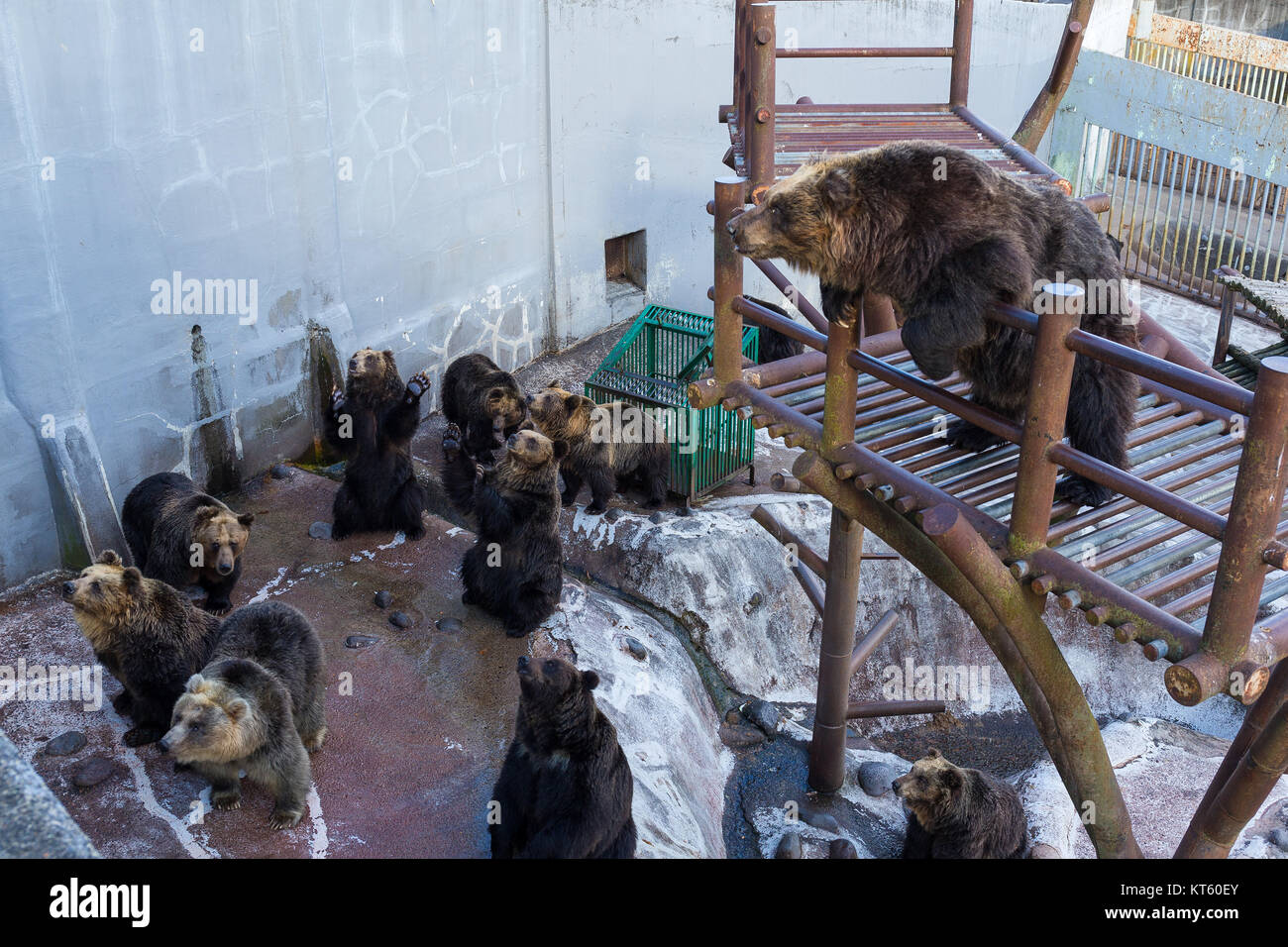 Food aliment park animal hi-res stock photography and images - Alamy