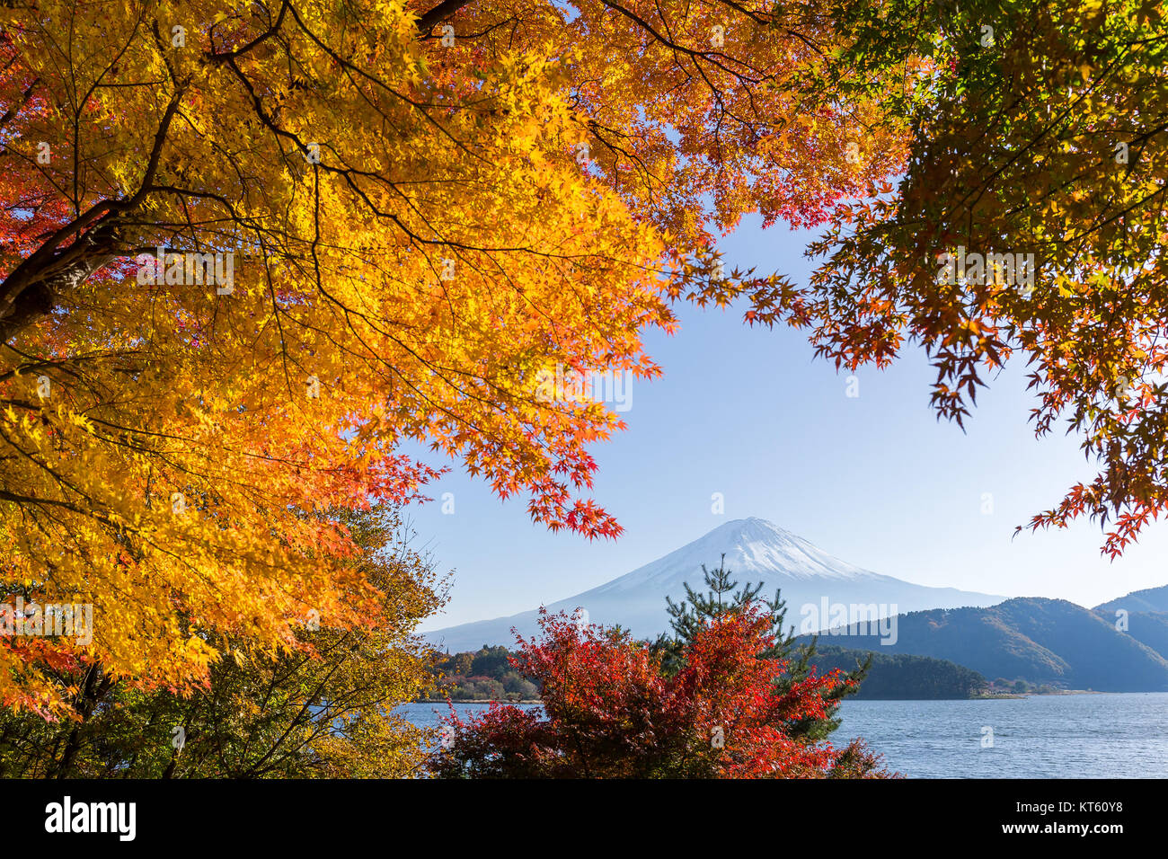 Fujisan and maple Stock Photo - Alamy