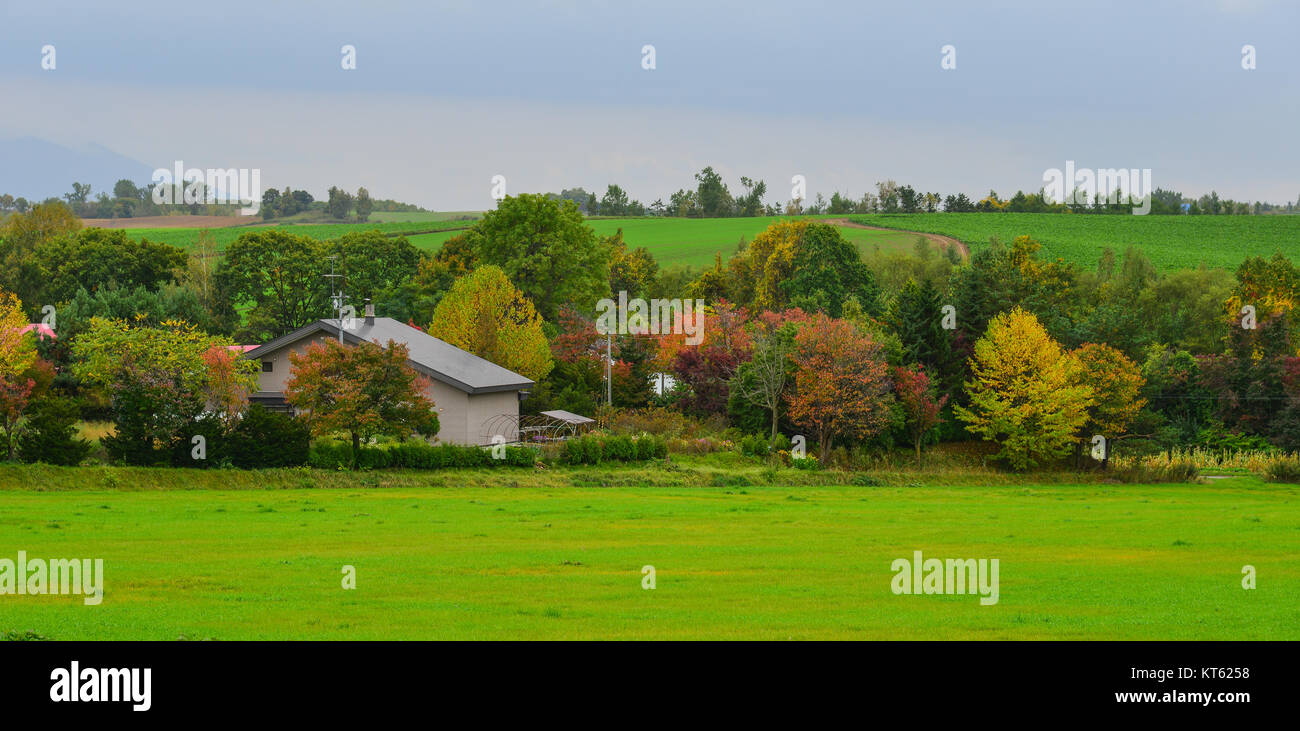 Small house with green field at autumn in Furano, Hokkaido, Japan Stock ...