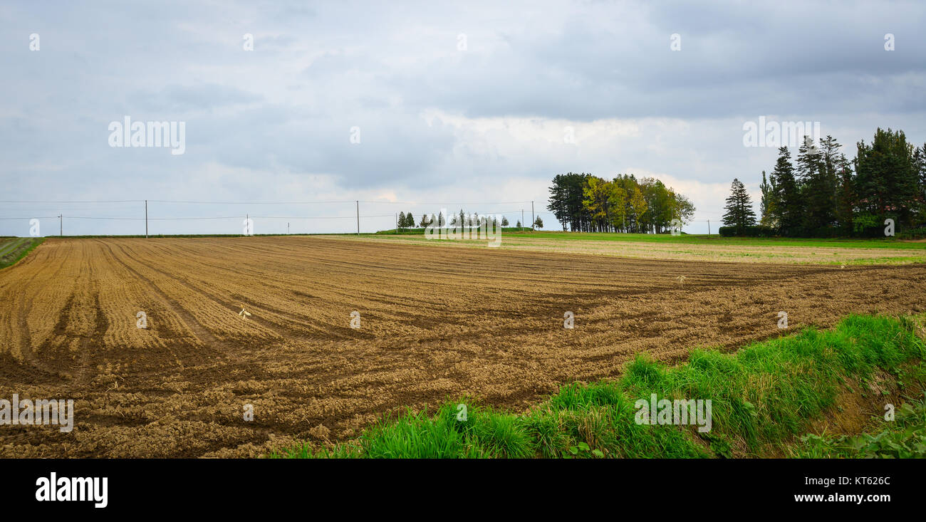 Empty field at autumn in Furano, Hokkaido, Japan Stock Photo - Alamy
