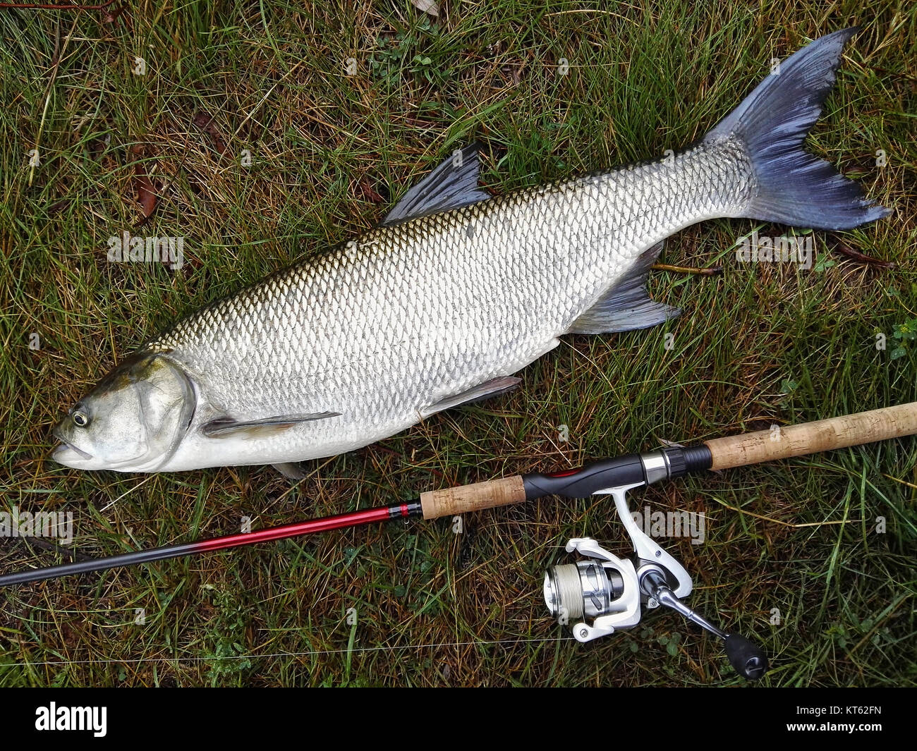 Gefangener hi-res stock photography and images - Alamy