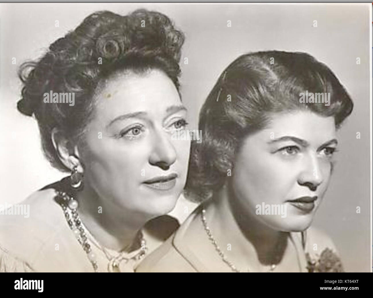 Stella26Laurel is referenced in a title. Further context about its ...