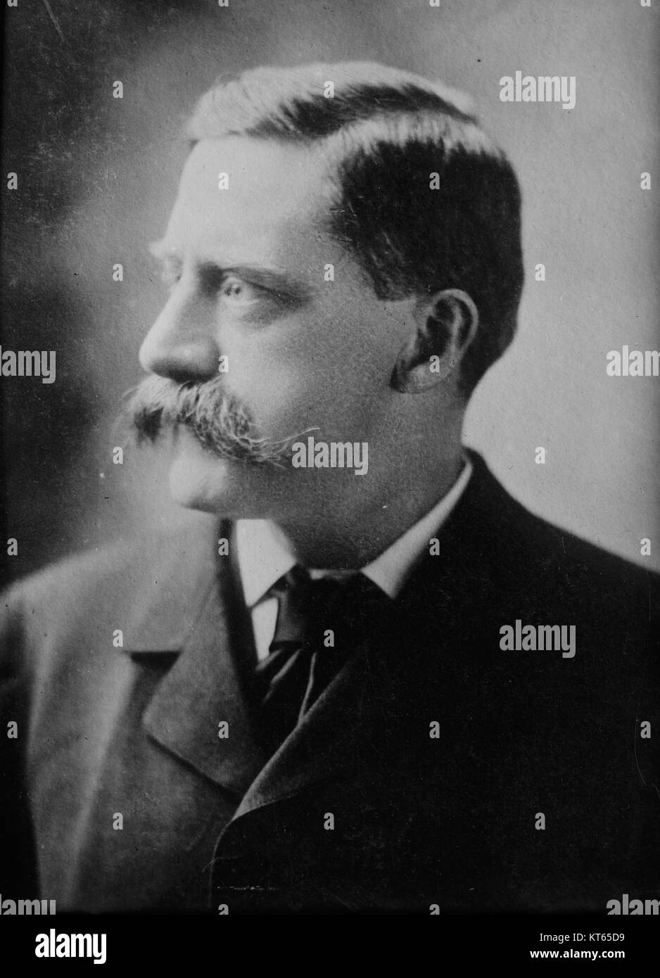 Stuyvesant Fish was an influential American businessman and railroad ...