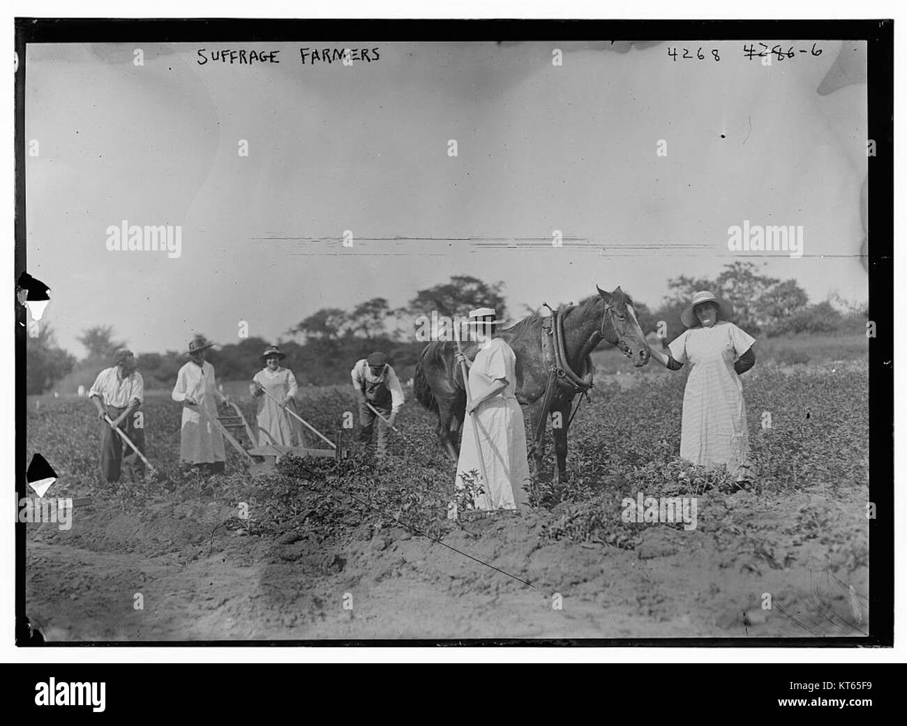 The 'Suffrage Farmers' photograph, identified by the number 20381615818 ...