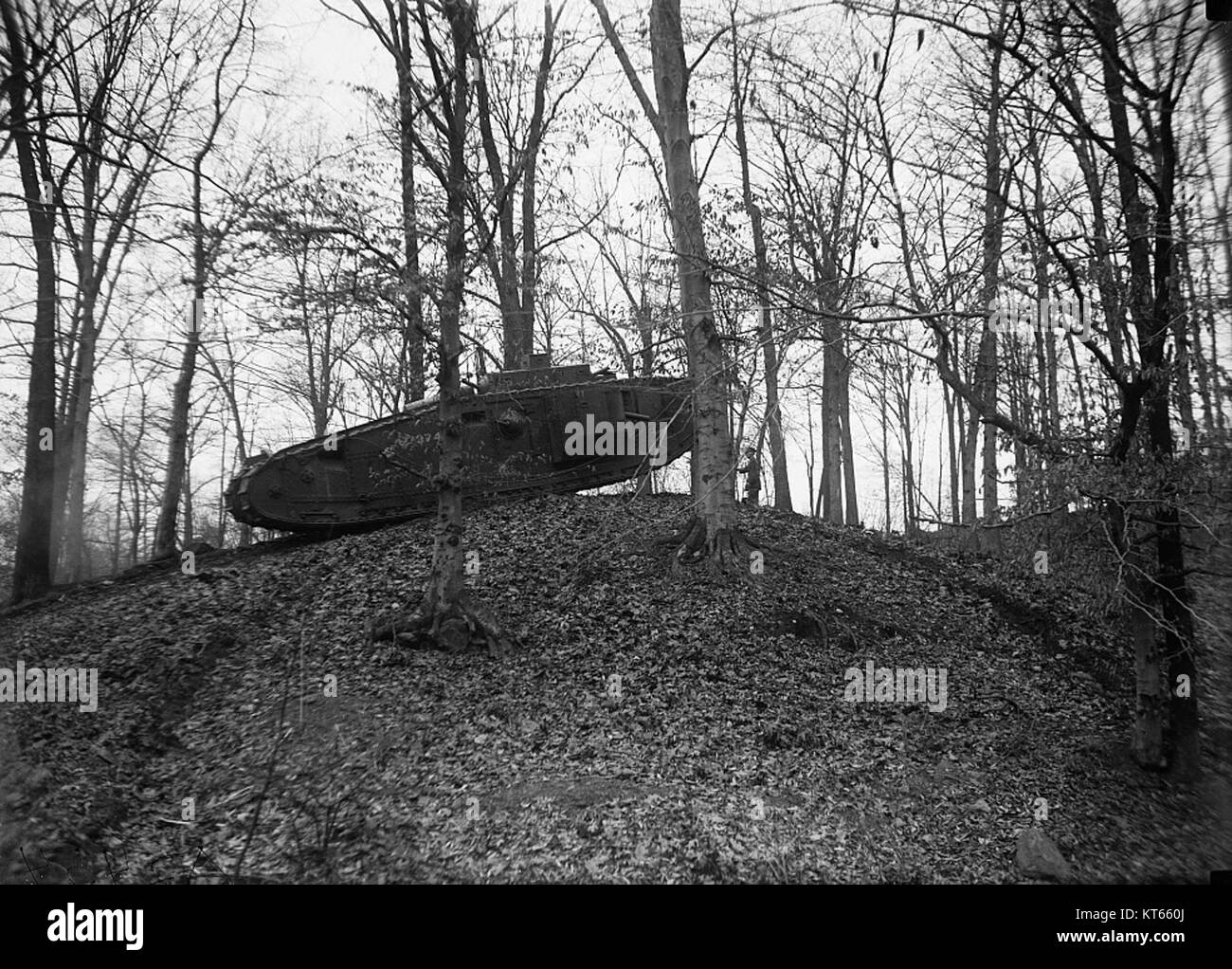 This image depicts a tank situated in a forested area, highlighting the ...