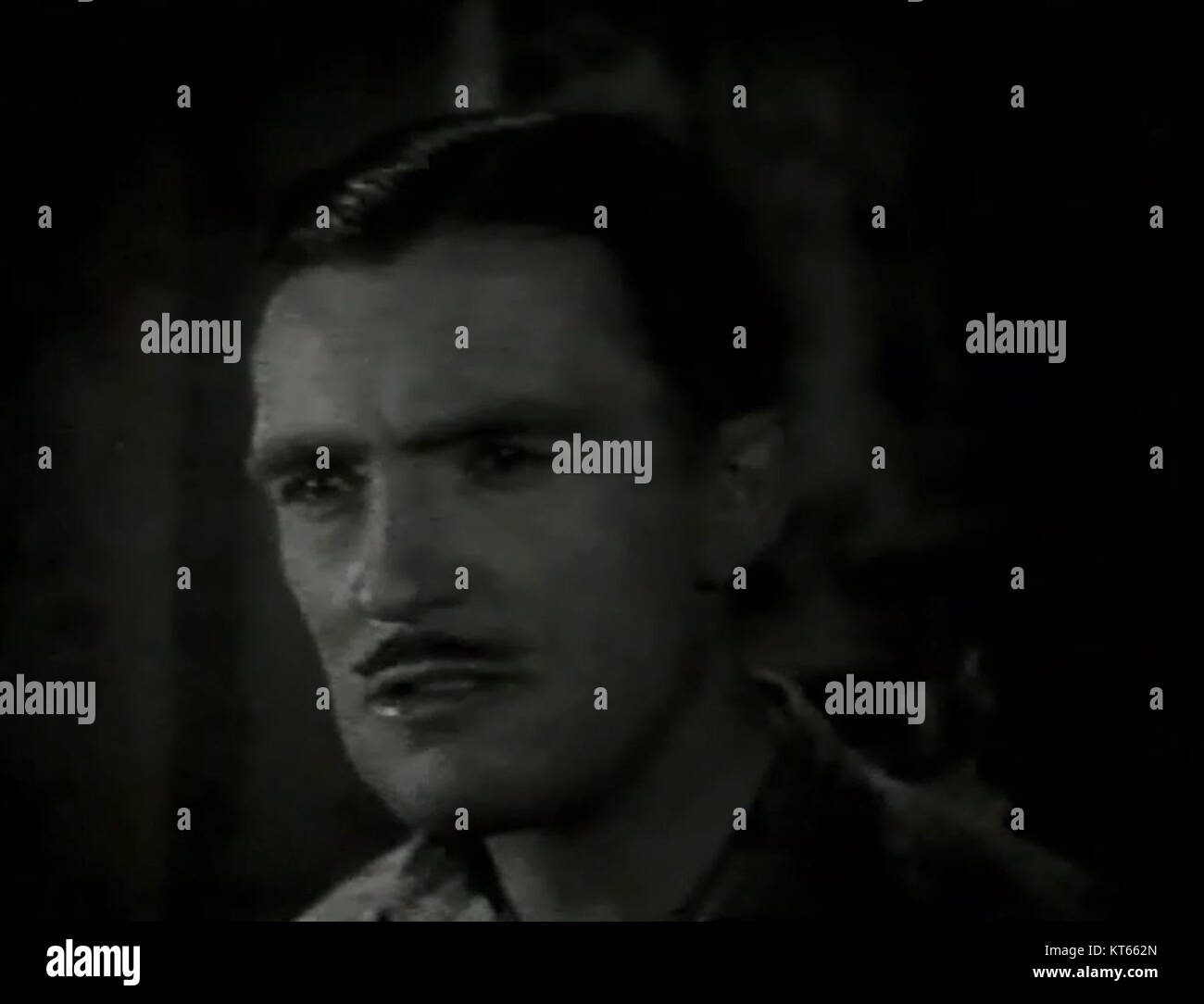 Tarzan The Tiger High Resolution Stock Photography and Images - Alamy