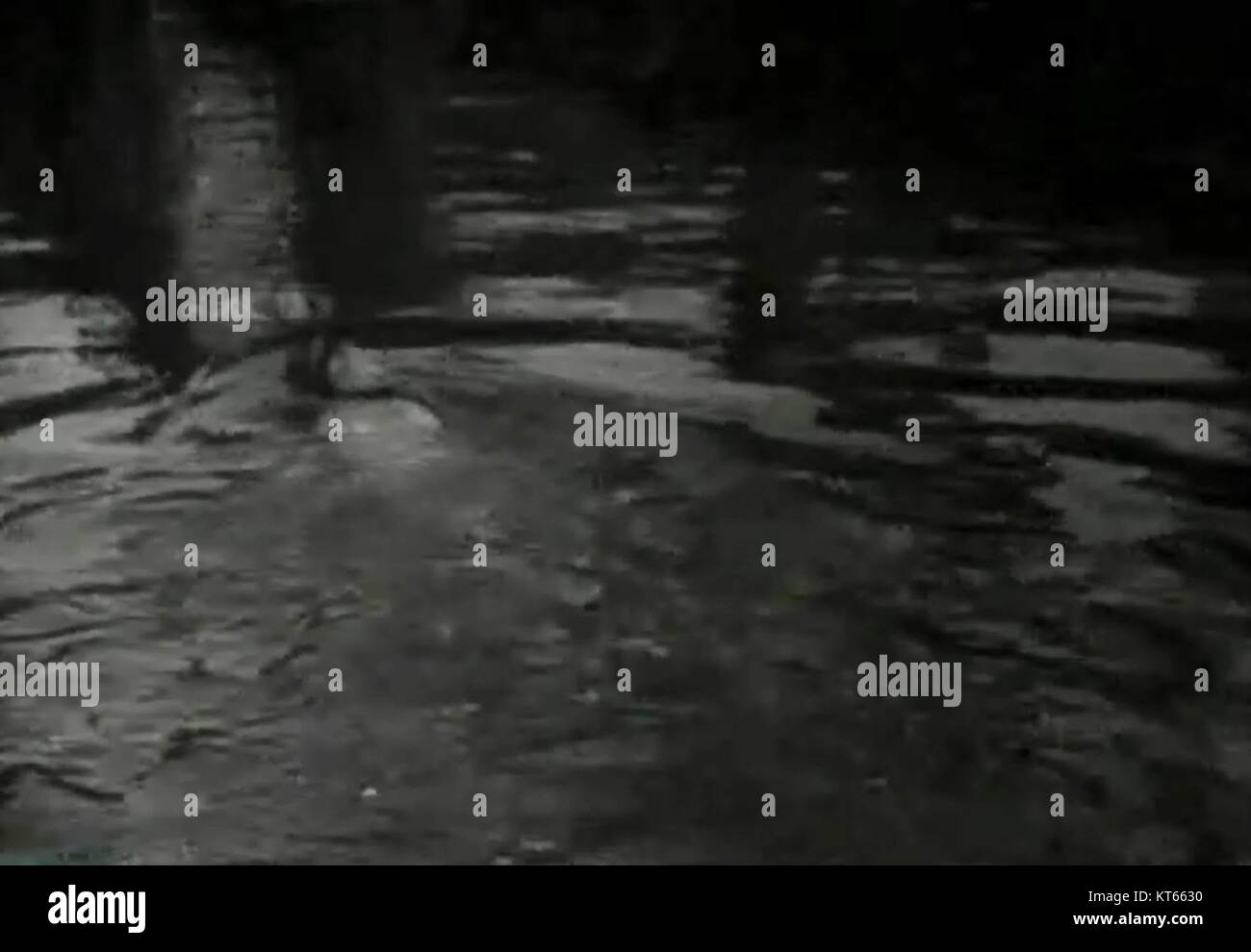 Tarzan the Tiger (1929) Chapter 8 - Kingston Swimming Stock Photo - Alamy