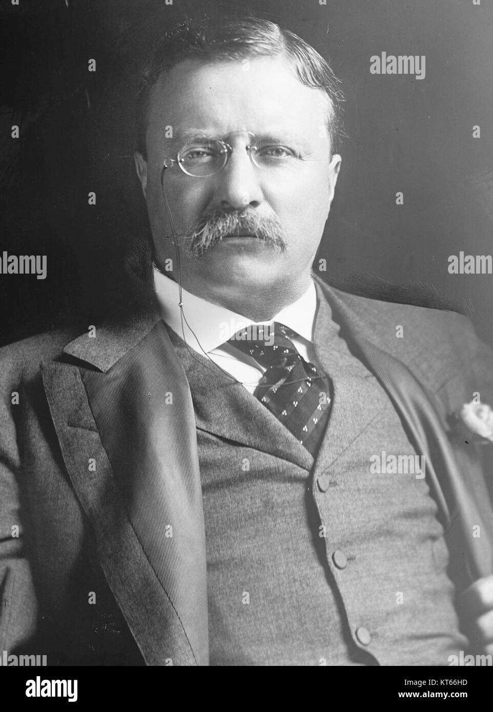 This photograph of Theodore Roosevelt, captured by the Harris and Ewing ...