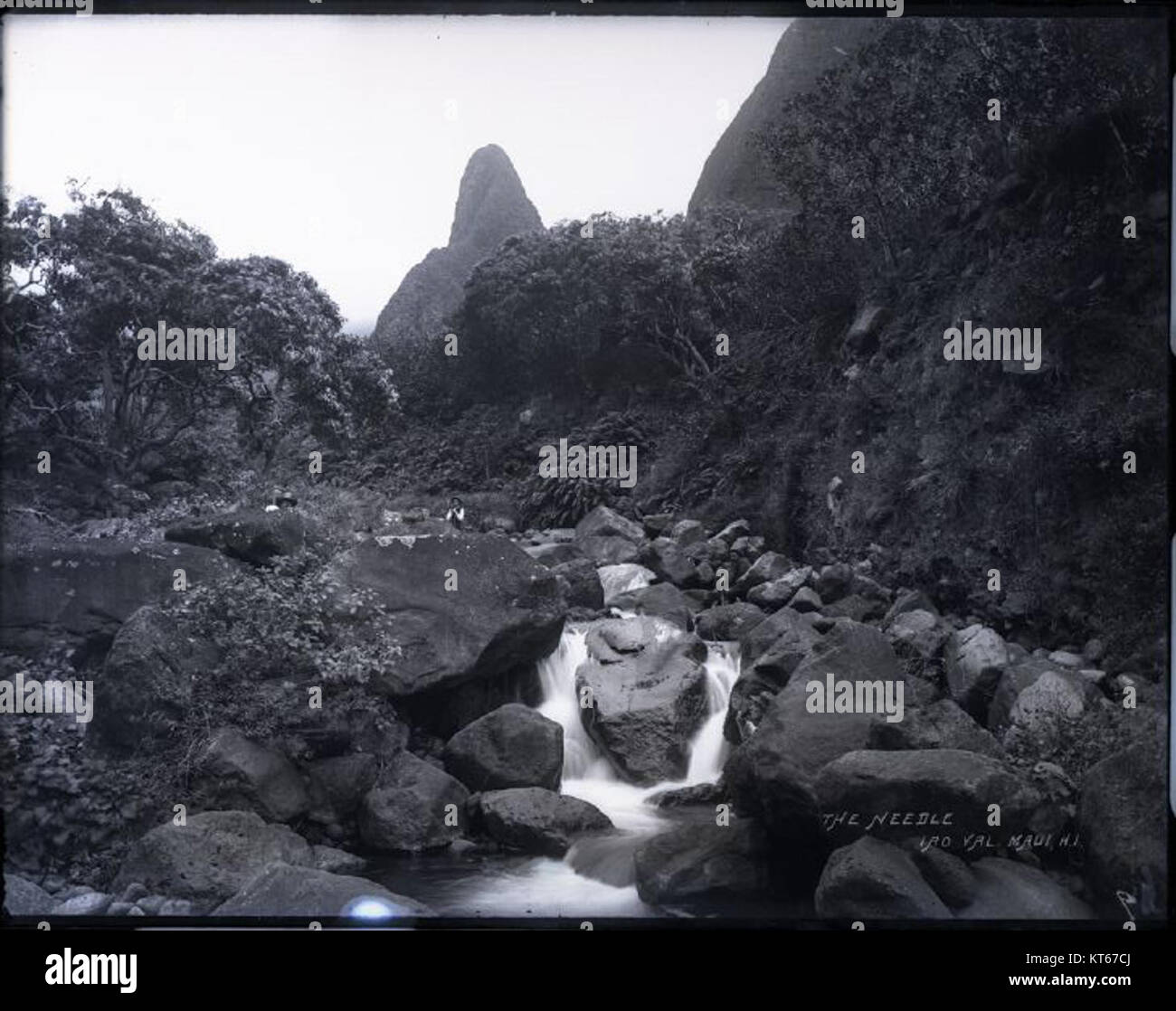 The Needle in Iao Valley, captured in a photograph by Brother Bertram ...
