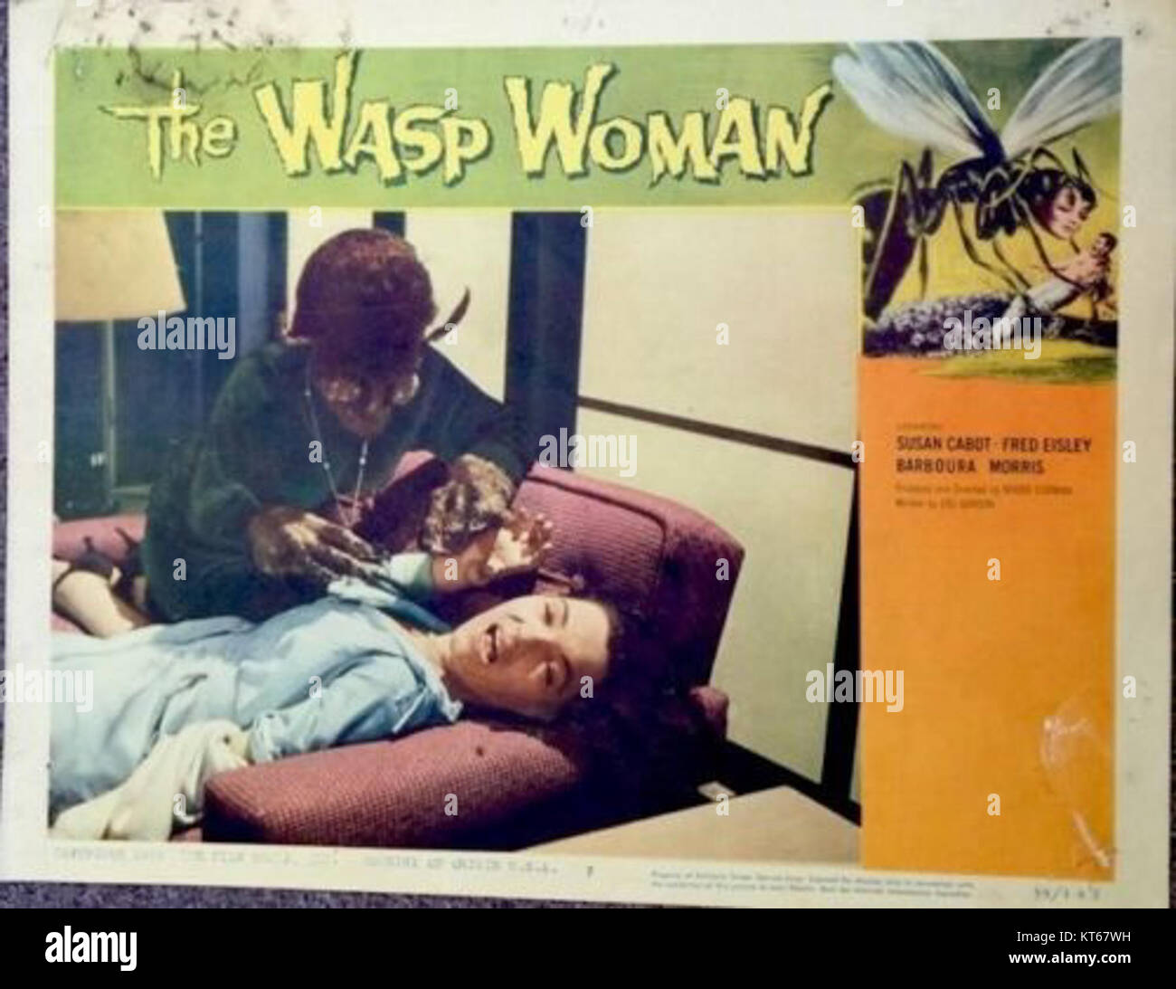The wasp woman poster hi-res stock photography and images - Alamy