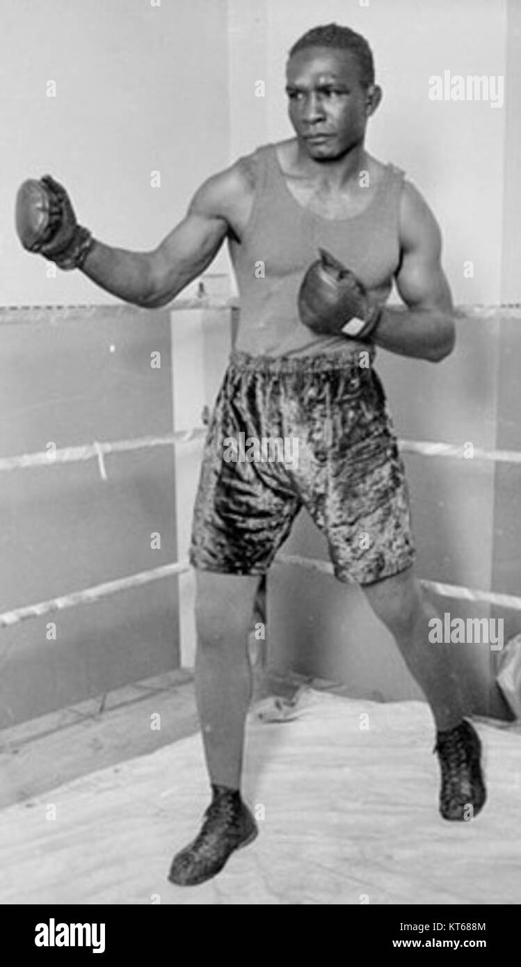 Tiger flowers boxing Black and White Stock Photos & Images - Alamy
