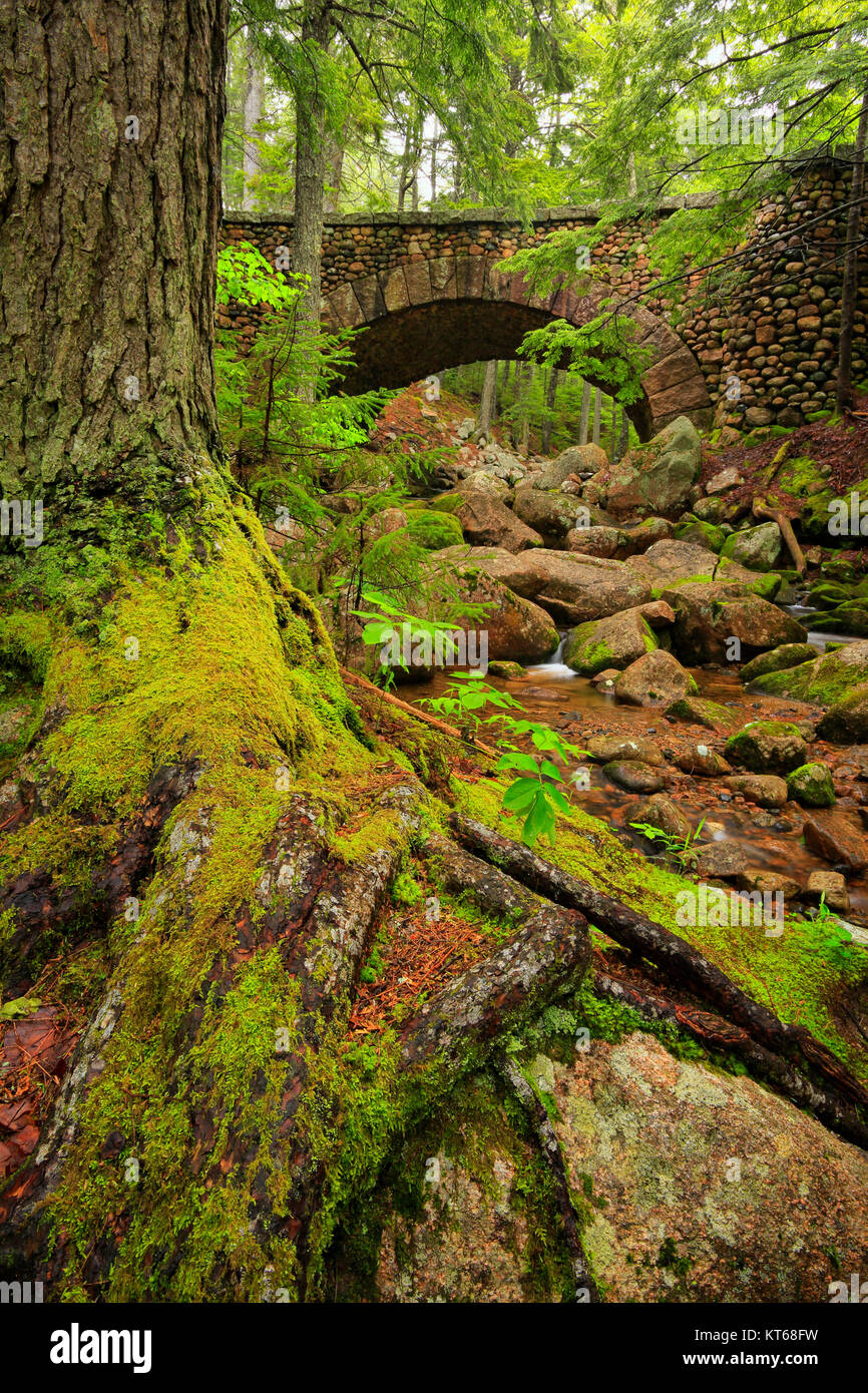 Cobblestone Carriage Road Bridge near Jordan Pond, Acadia National Park ...