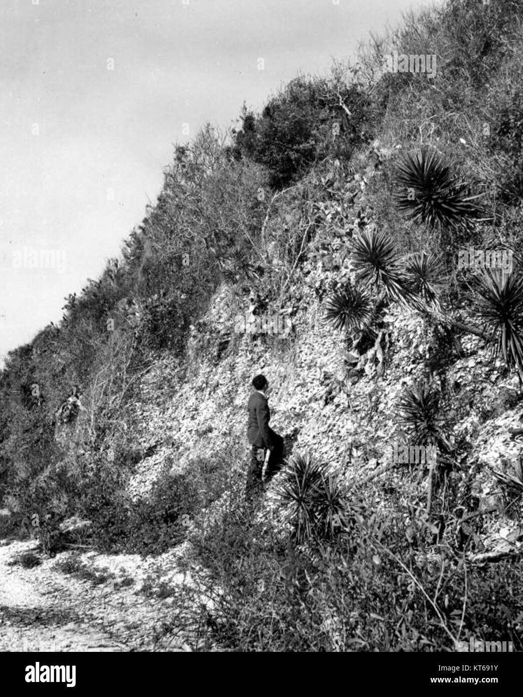 This image likely captures a historical site known as Turtle Mound ...