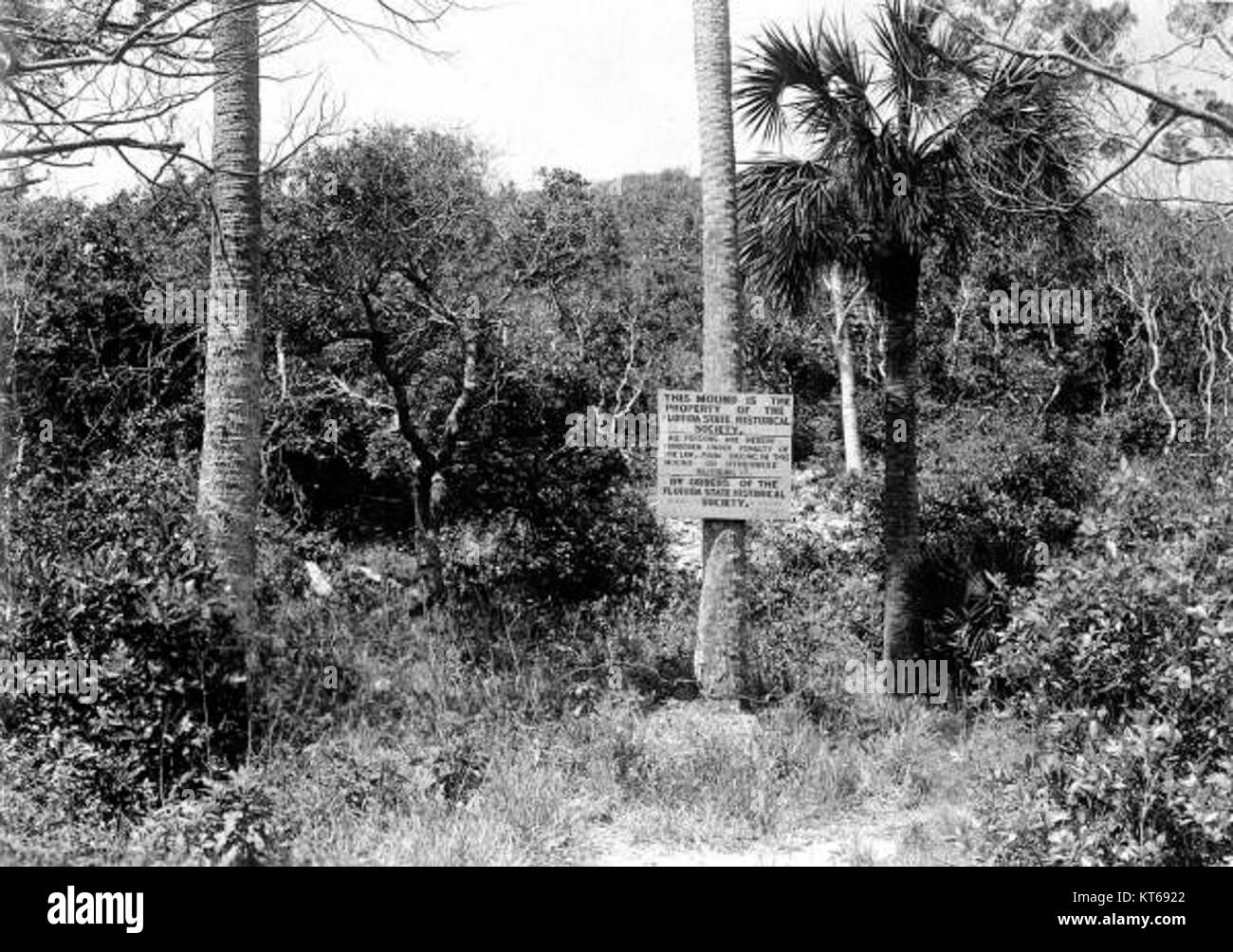 Turtle Mound is a prehistoric Native American archaeological site in ...