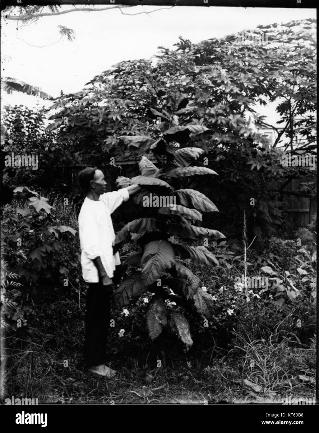 Photograph by Brother Bertram depicting an unidentified Chinese man ...
