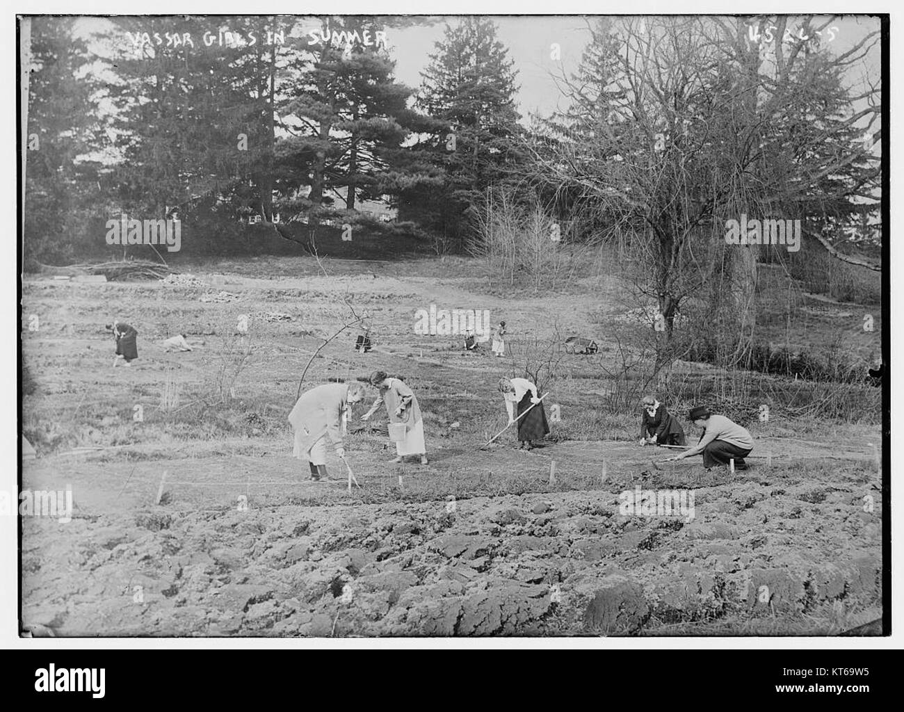 A photograph depicting Vassar College students enjoying summer on ...