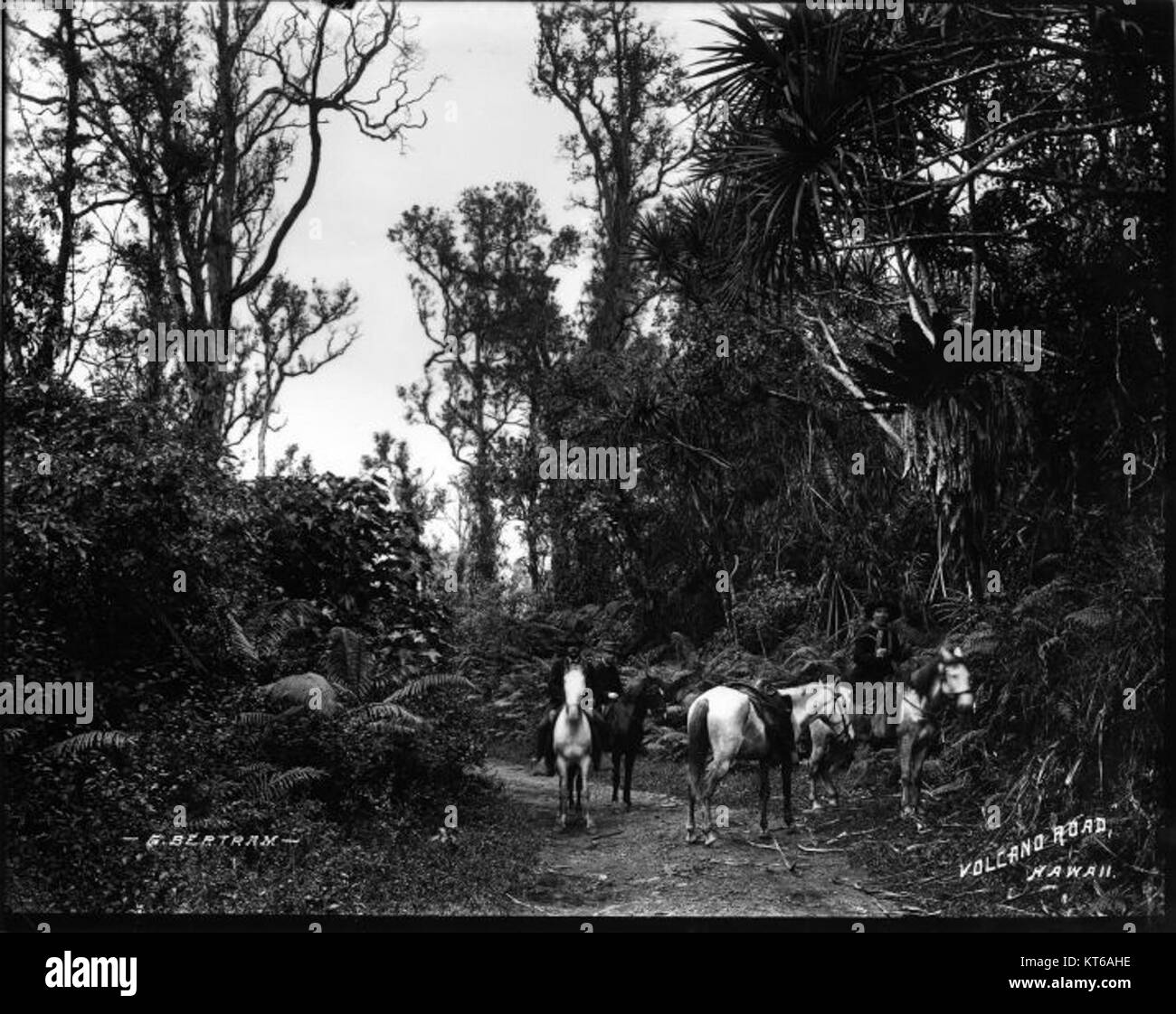 Volcano life Black and White Stock Photos & Images - Alamy