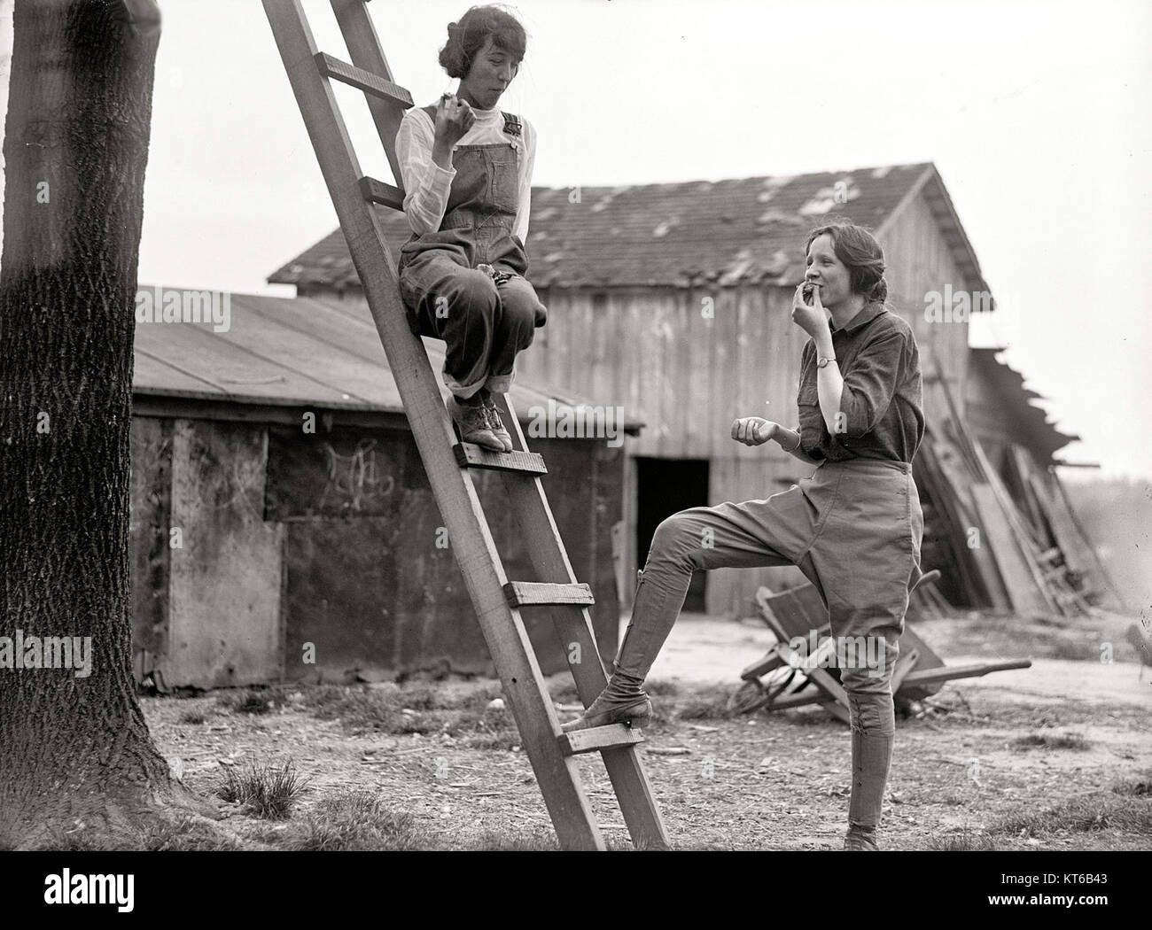 War effort support hi-res stock photography and images - Alamy