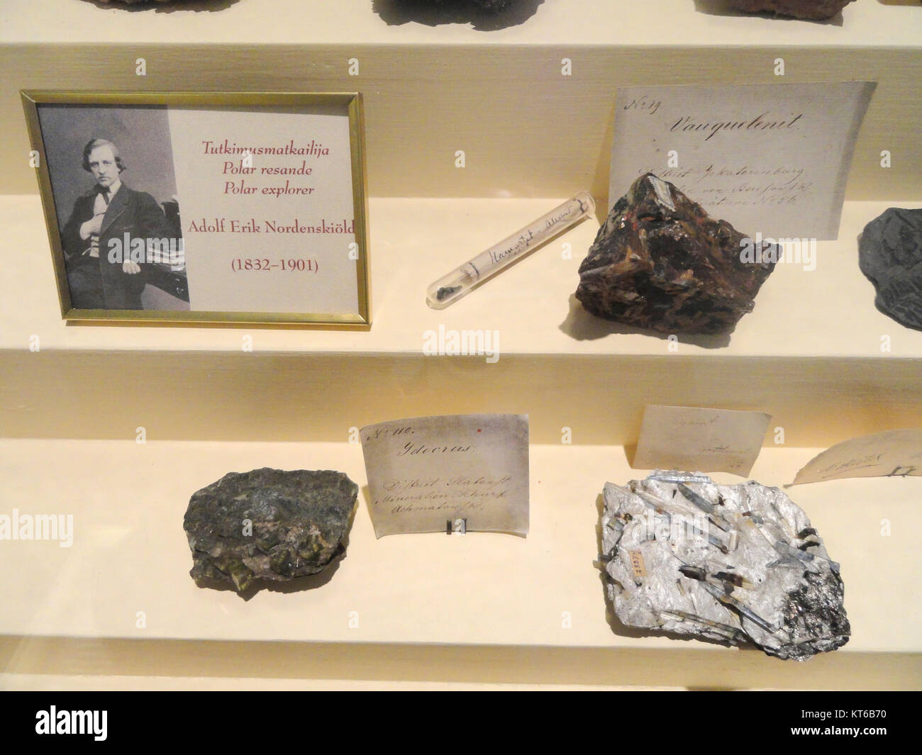 A photograph of an Arctic stone specimen displayed in the Mineral ...