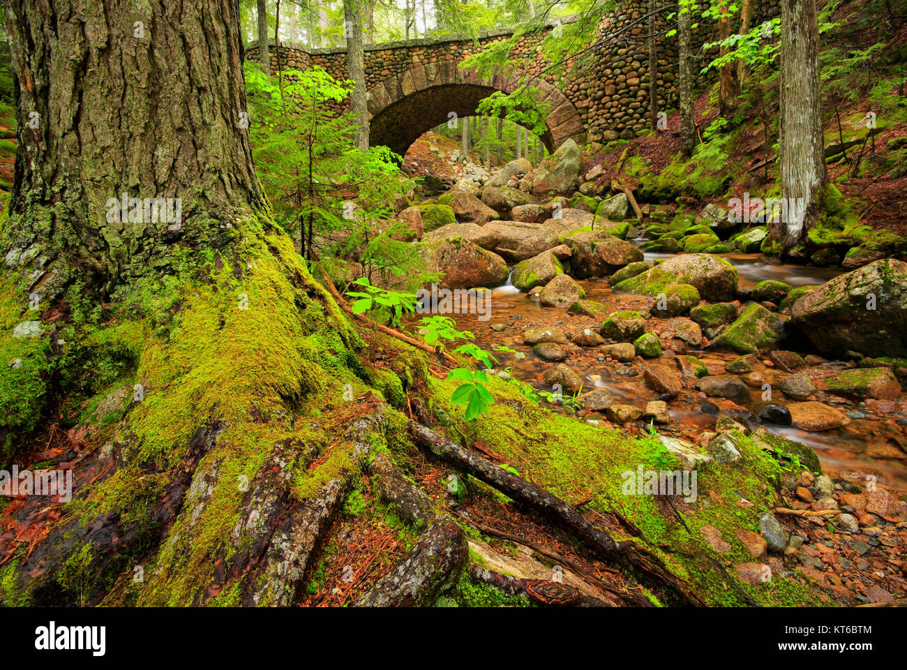 Cobblestone Carriage Road Bridge near Jordan Pond, Acadia National Park ...
