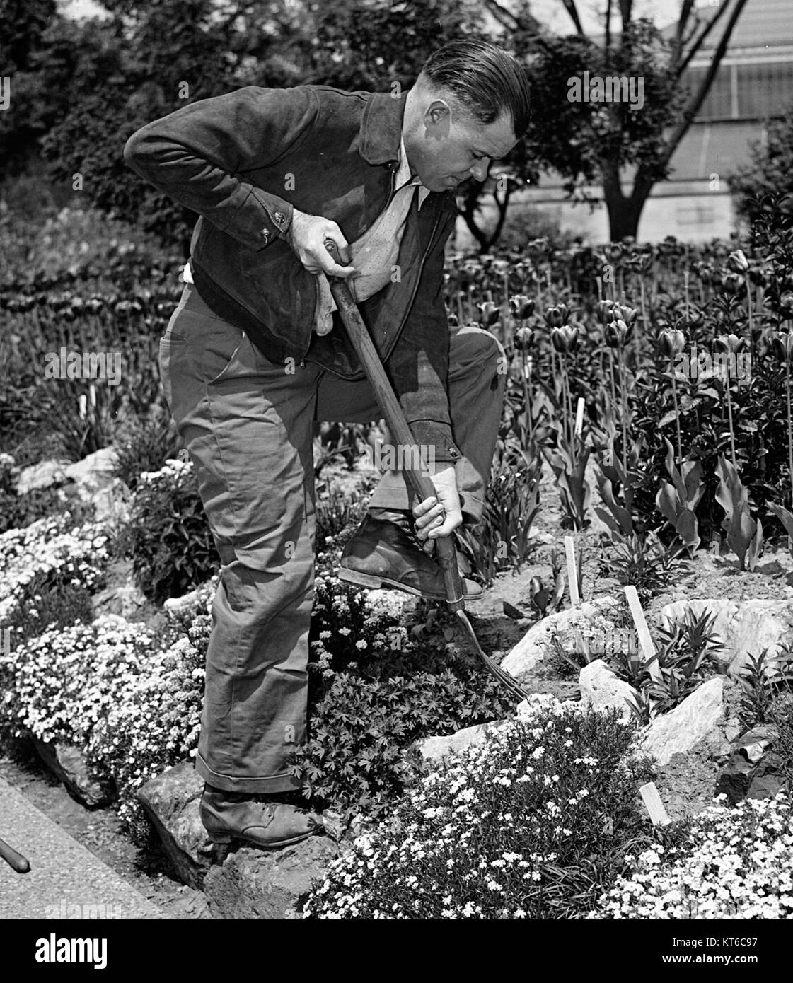 William poage hi-res stock photography and images - Alamy