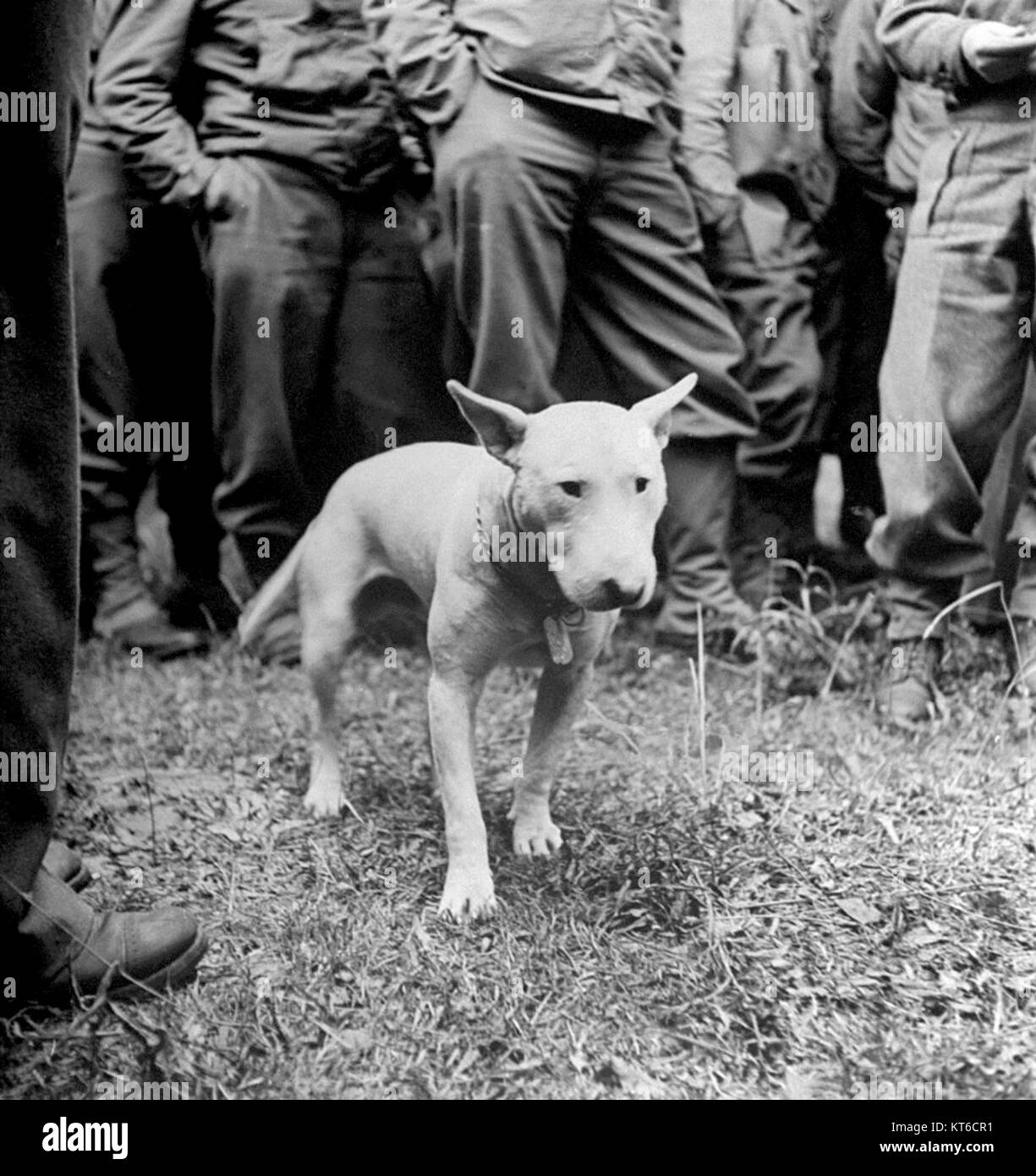 This is a 1944 LIFE magazine photograph of Willie Patton, depicting his ...