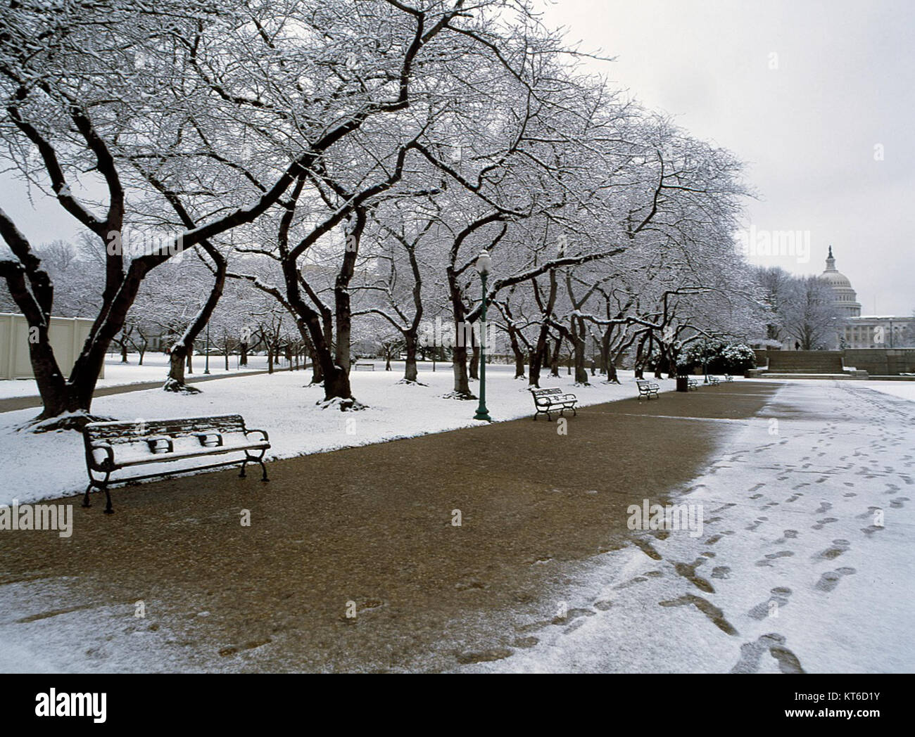 This wintertime view of the pedestrian path on the National Mall in ...
