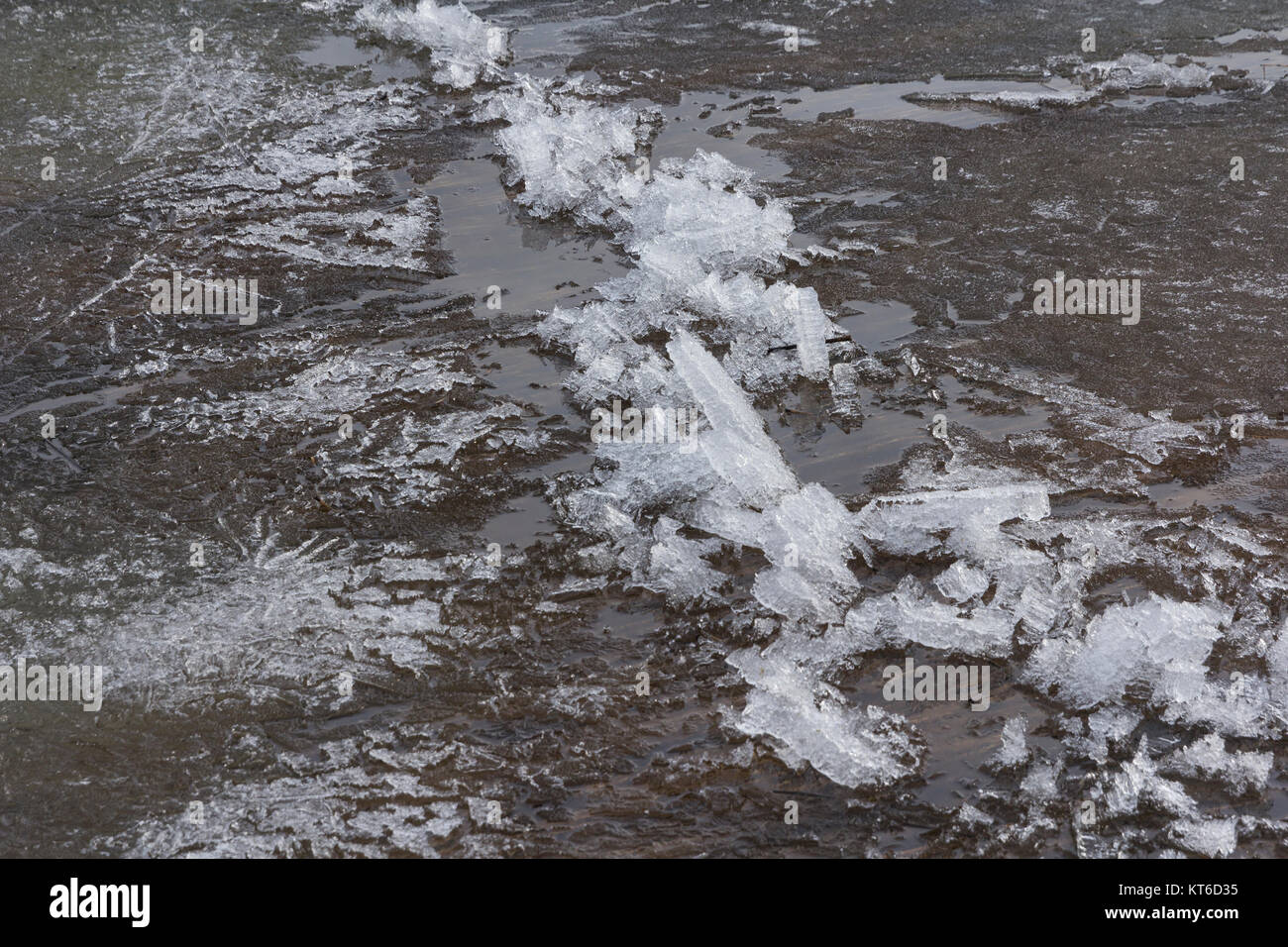 ice texture of ice skating rink outdoors with snow Stock Photo - Alamy