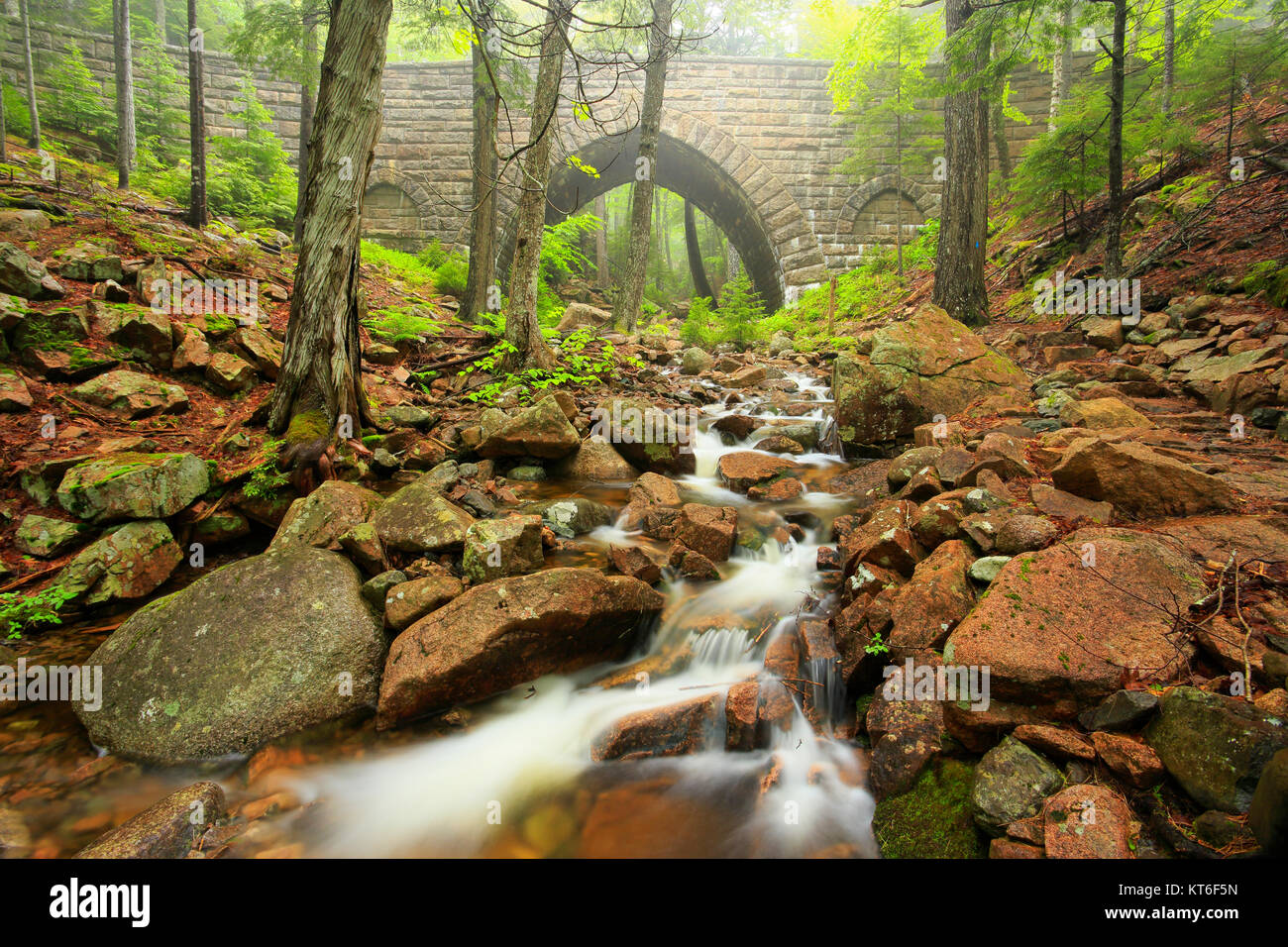 Hemlock Bridge and Maple Springs Trail, Acadia National Park, Maine ...