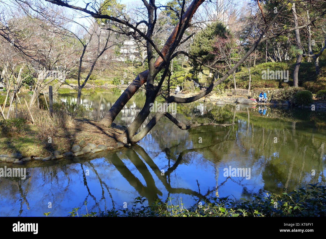 Arisugawa-no-miya Memorial Park in Tokyo, Japan, is a public park ...