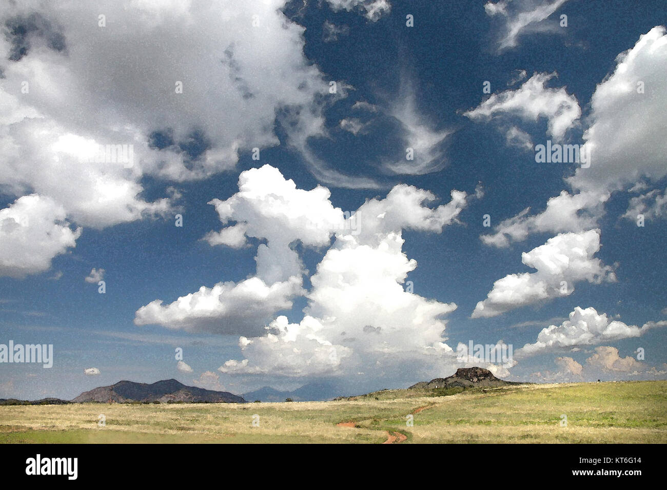 This image showcases a scenic view of Santa Cruz County in Arizona ...