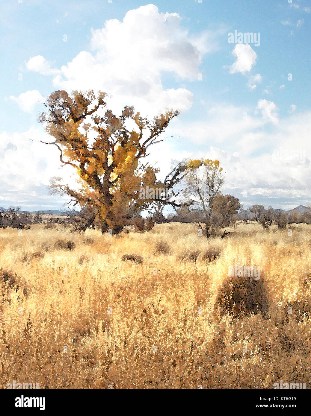 This image showcases the landscape of Santa Cruz County, Arizona ...