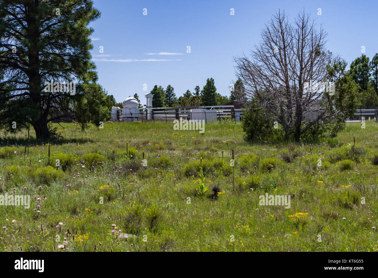 The Arizona Trail is a hiking and equestrian trail that stretches ...