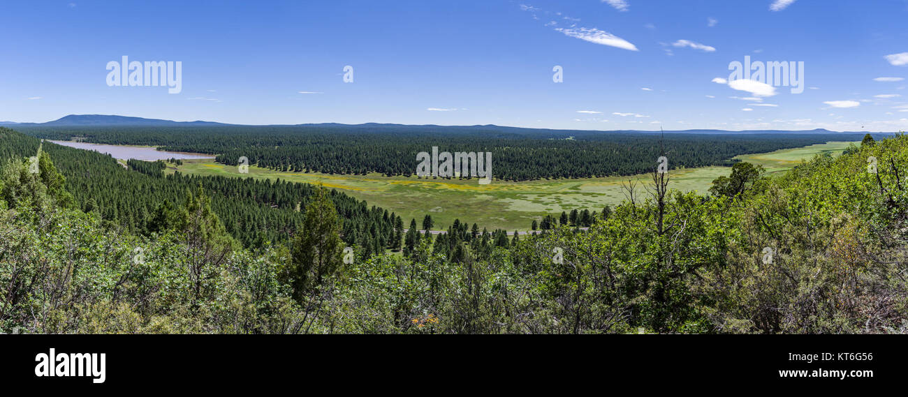 Equestrian access hi-res stock photography and images - Alamy