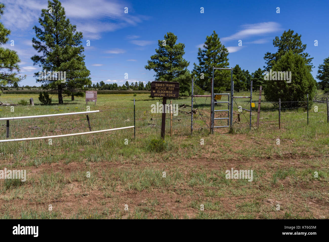 Photograph of the Arizona Trail near Anderson Mesa, identified by trail ...