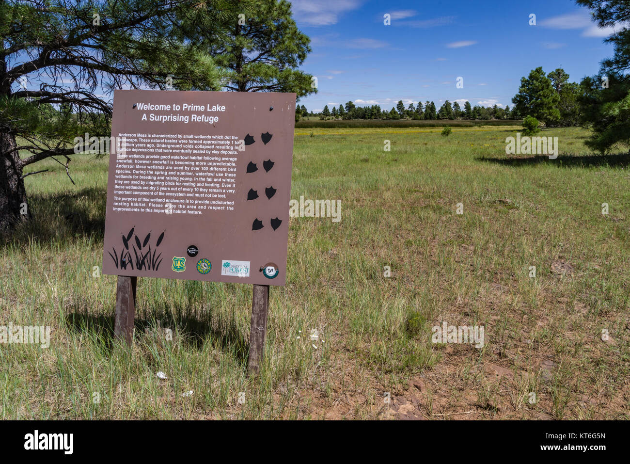 This photograph captures a section of the Arizona Trail on Anderson ...