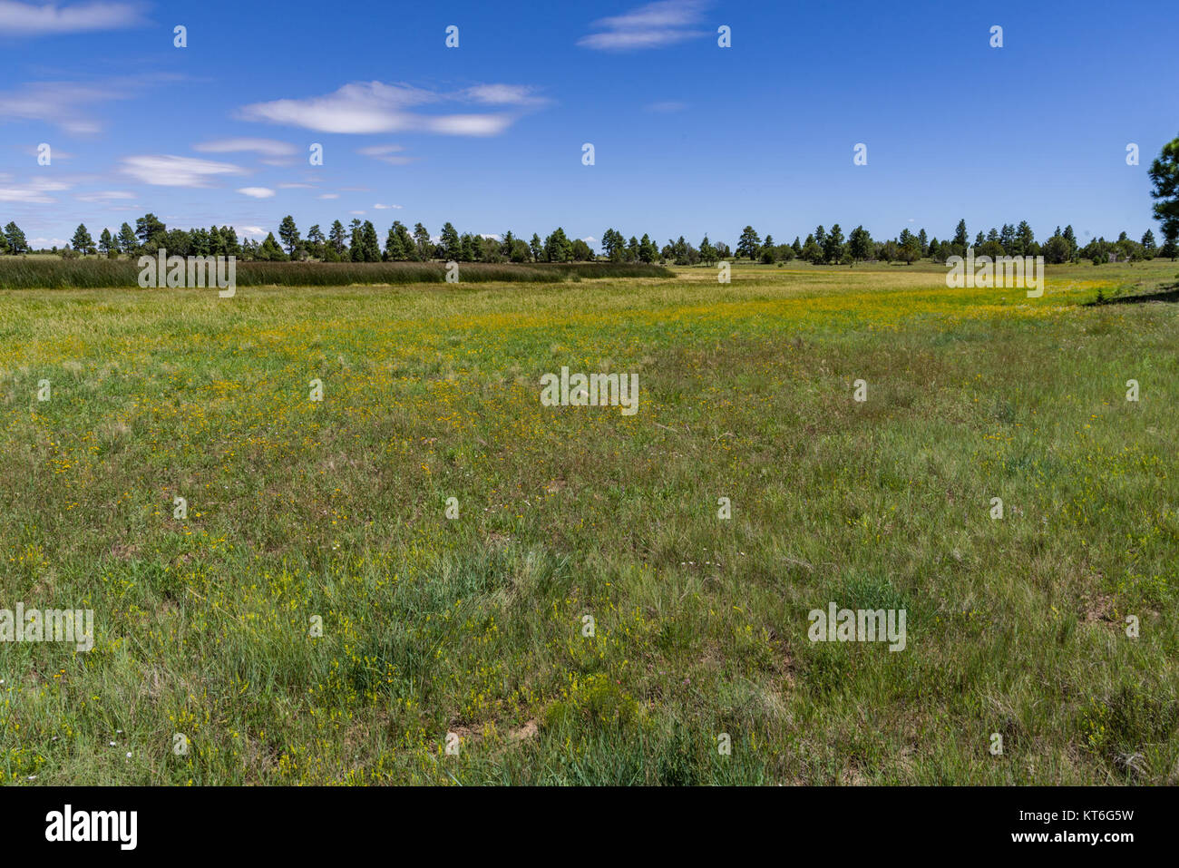 Arizona Trail- Anderson Mesa AZT-30 (36911367581 Stock Photo - Alamy