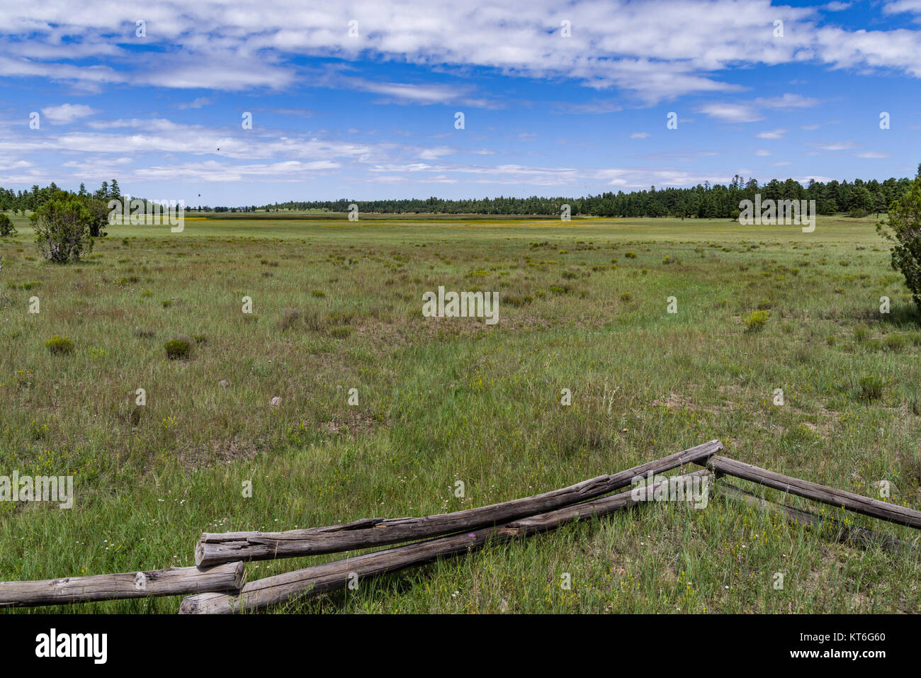 The Arizona Trail passes through Anderson Mesa, a scenic section of the ...