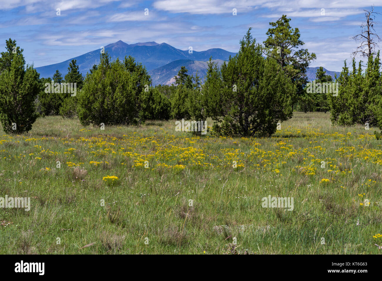 The Arizona Trail passes through Anderson Mesa, offering scenic views ...