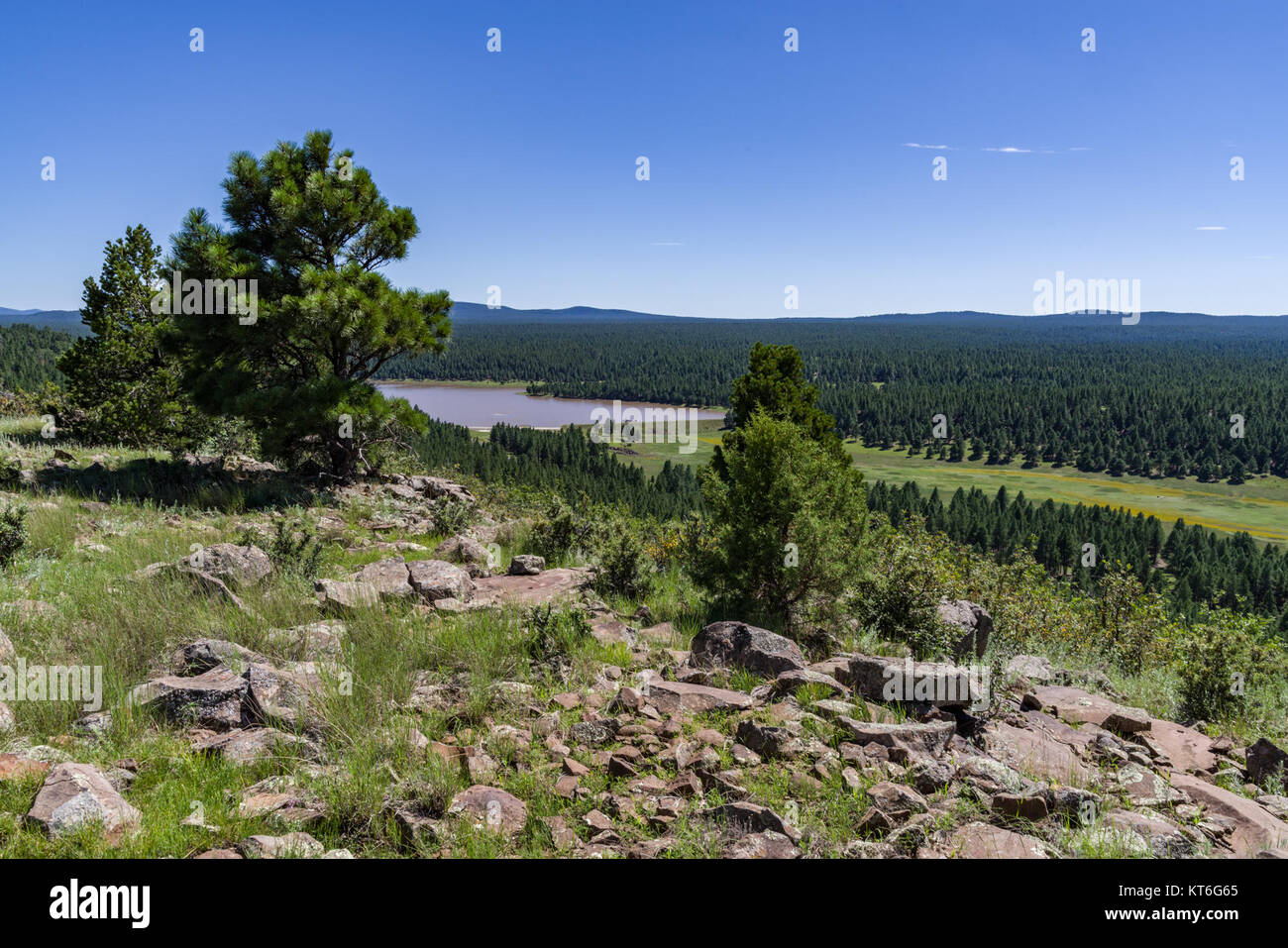 The Arizona Trail on Anderson Mesa offers stunning views and a ...