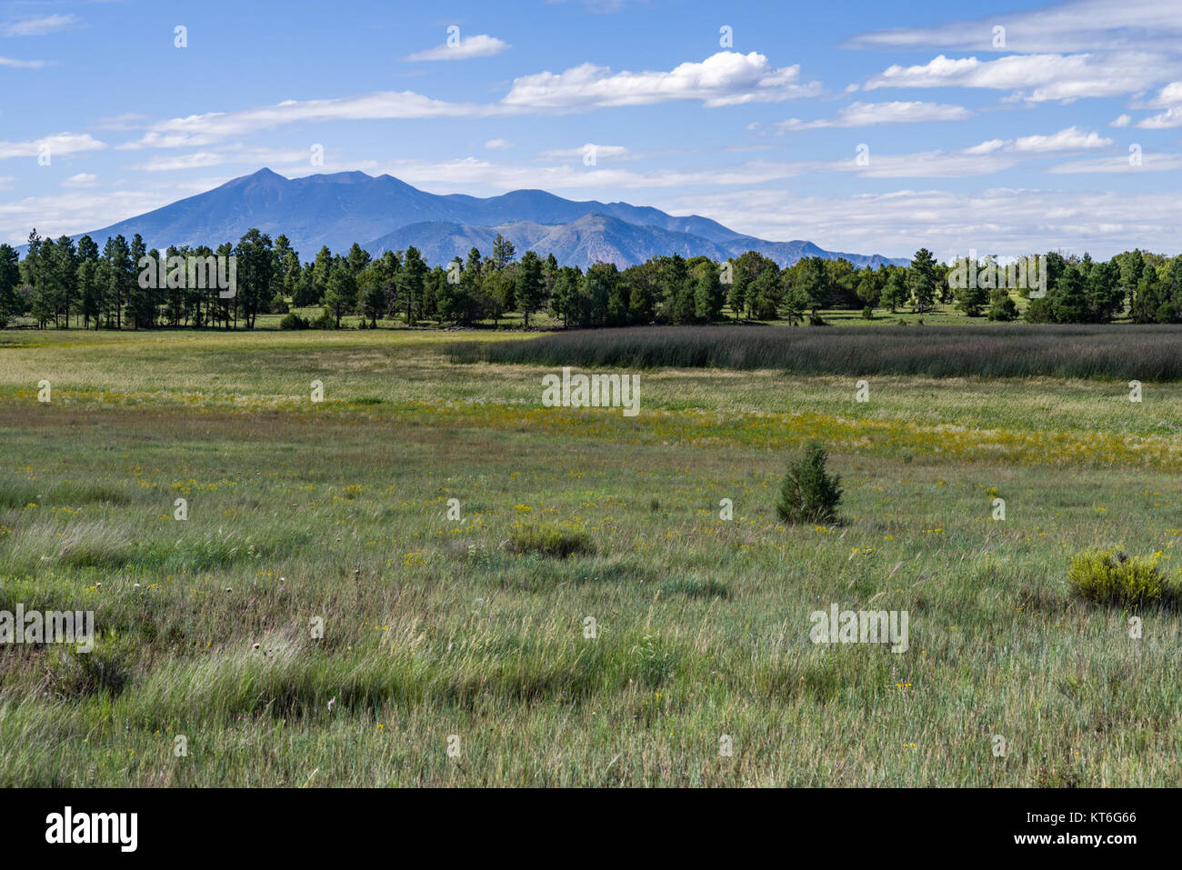 The Arizona Trail at Anderson Mesa, identified as AZT-30, is a section ...
