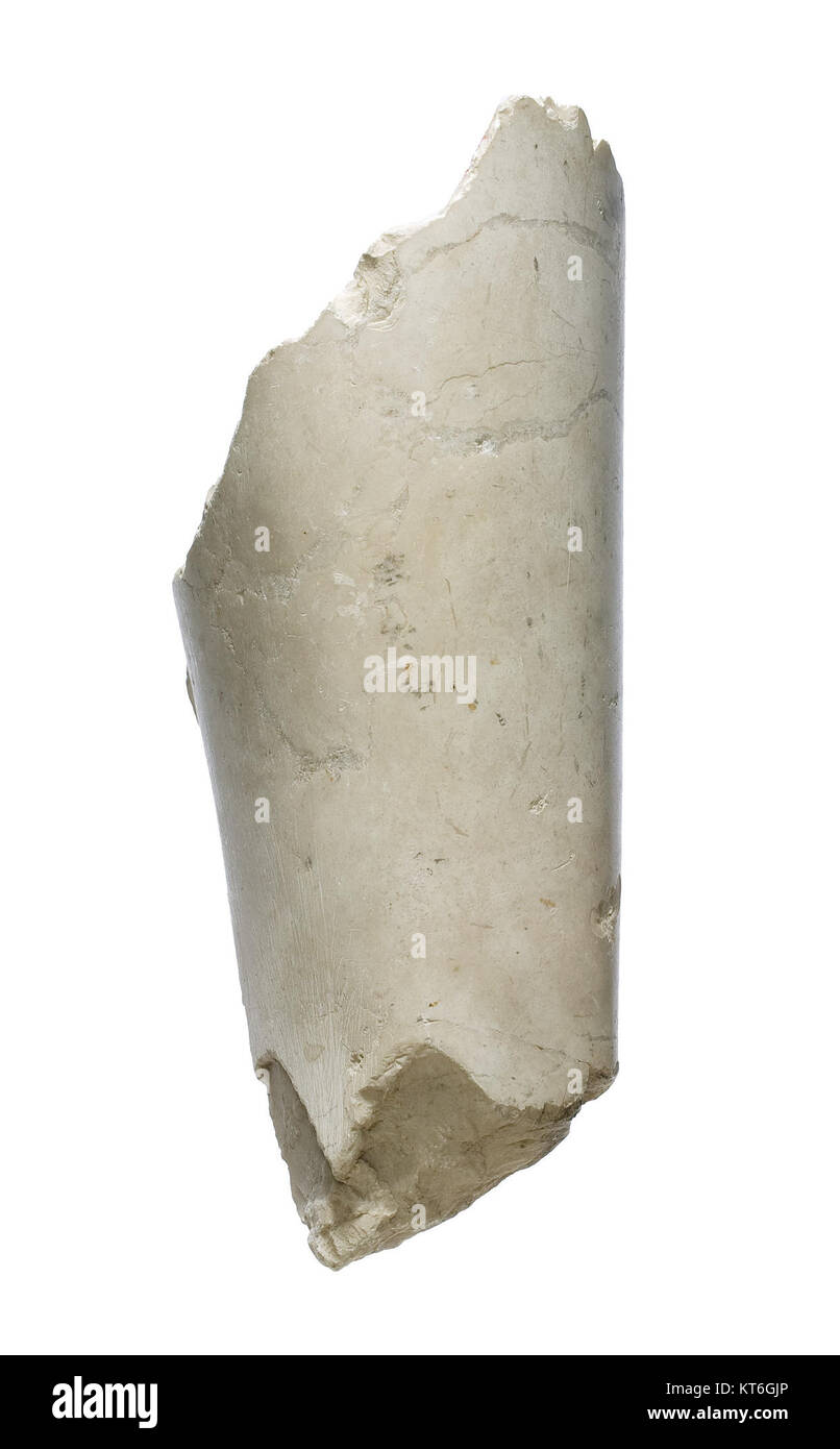 This object, the forearm and arm fragment, is part of the collection at ...