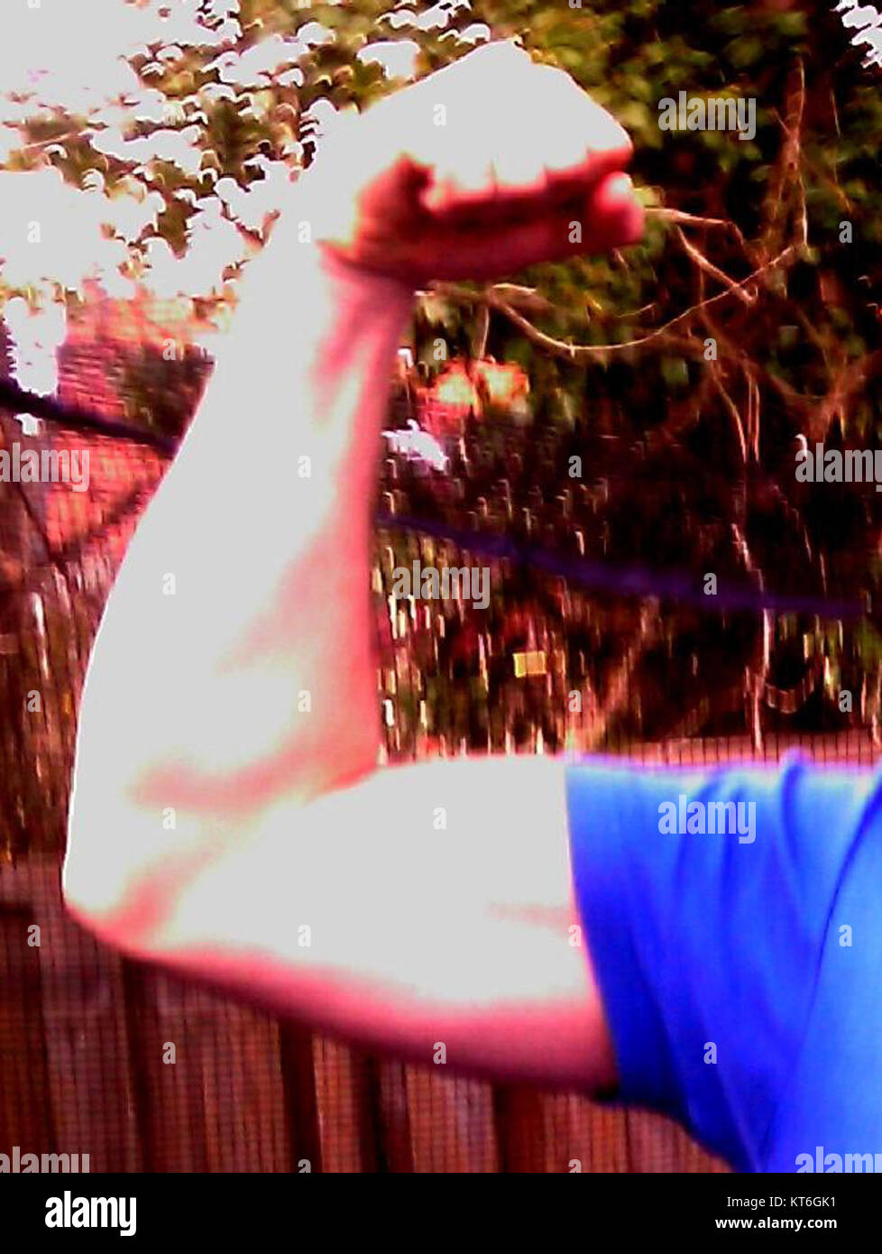 This title likely refers to 'Arm,' which could indicate a specific location or object associated ...