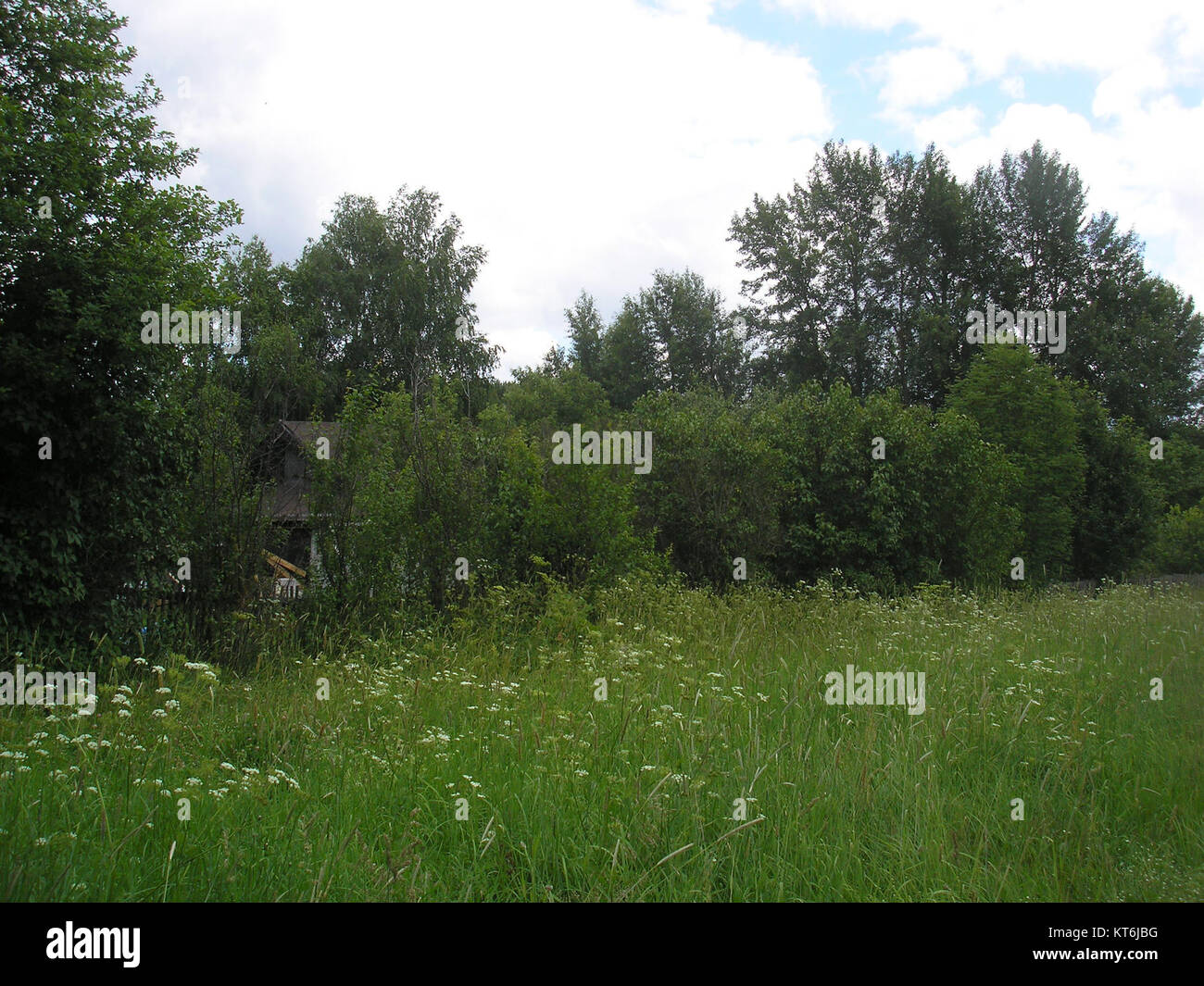 Armyagovo is a rural locality in Bulgaria known for its peaceful ...
