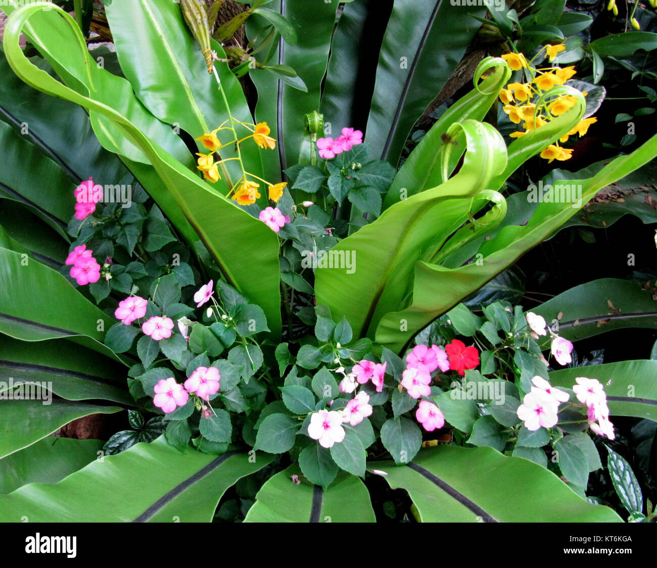 Pleasing visual balance hi-res stock photography and images - Alamy