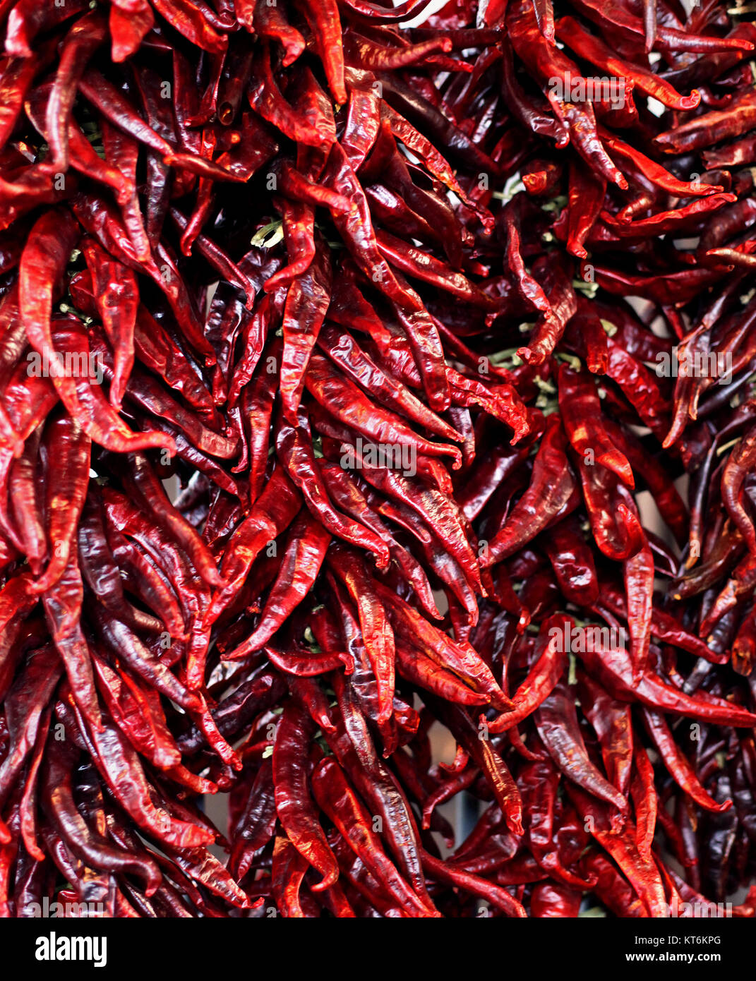 Dry red peppers hanging on wall on market Stock Photo - Alamy
