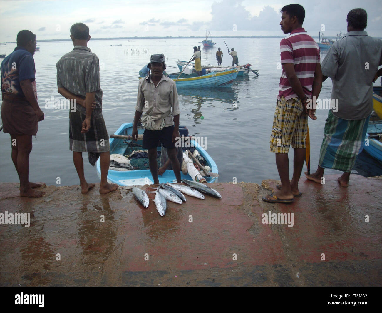 Fresh fish are brought by boat to the Jaffna Fish Harbour, a key ...